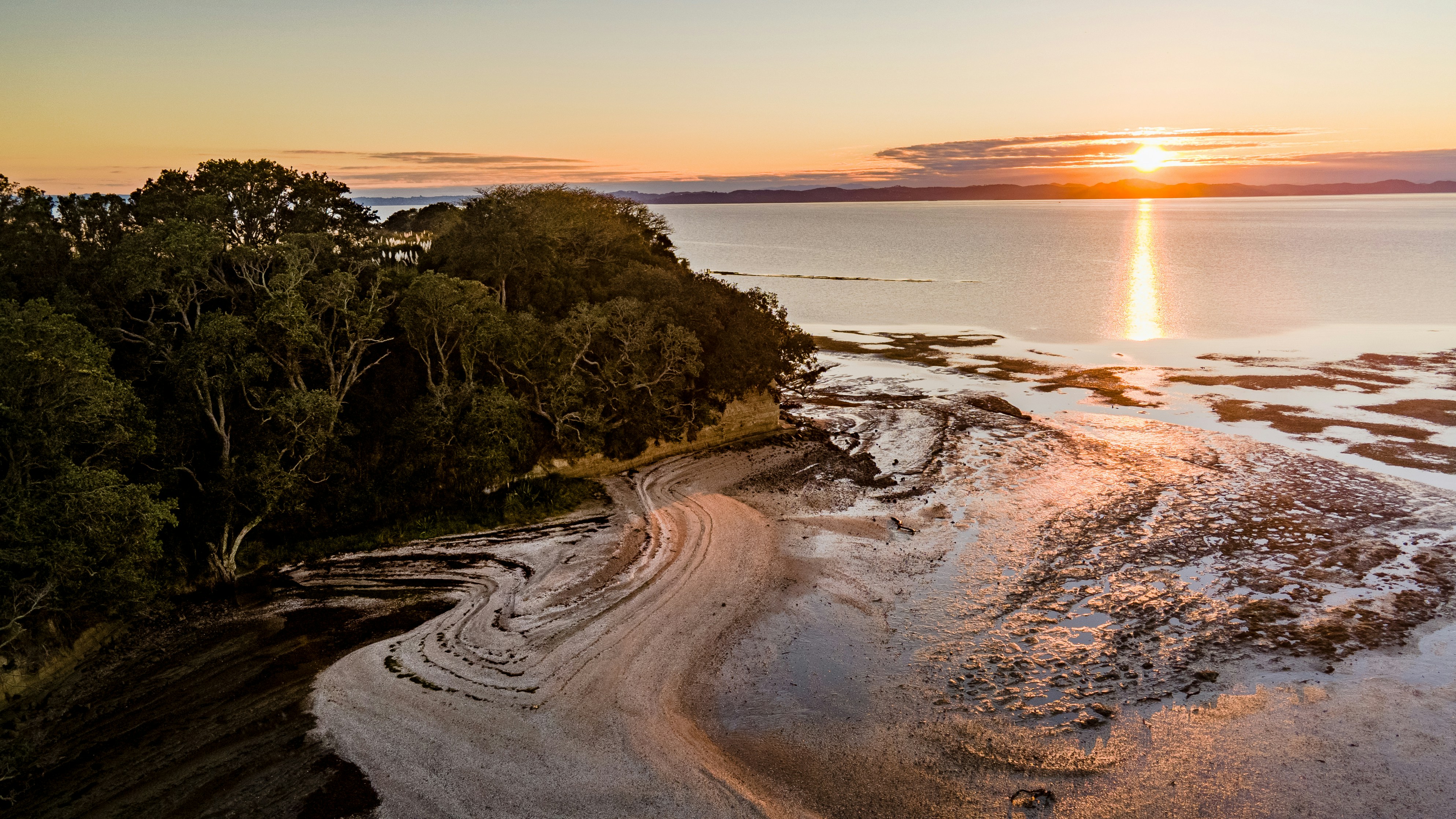 Sunset illuminating a tranquil shoreline with lush green trees and calm waters.