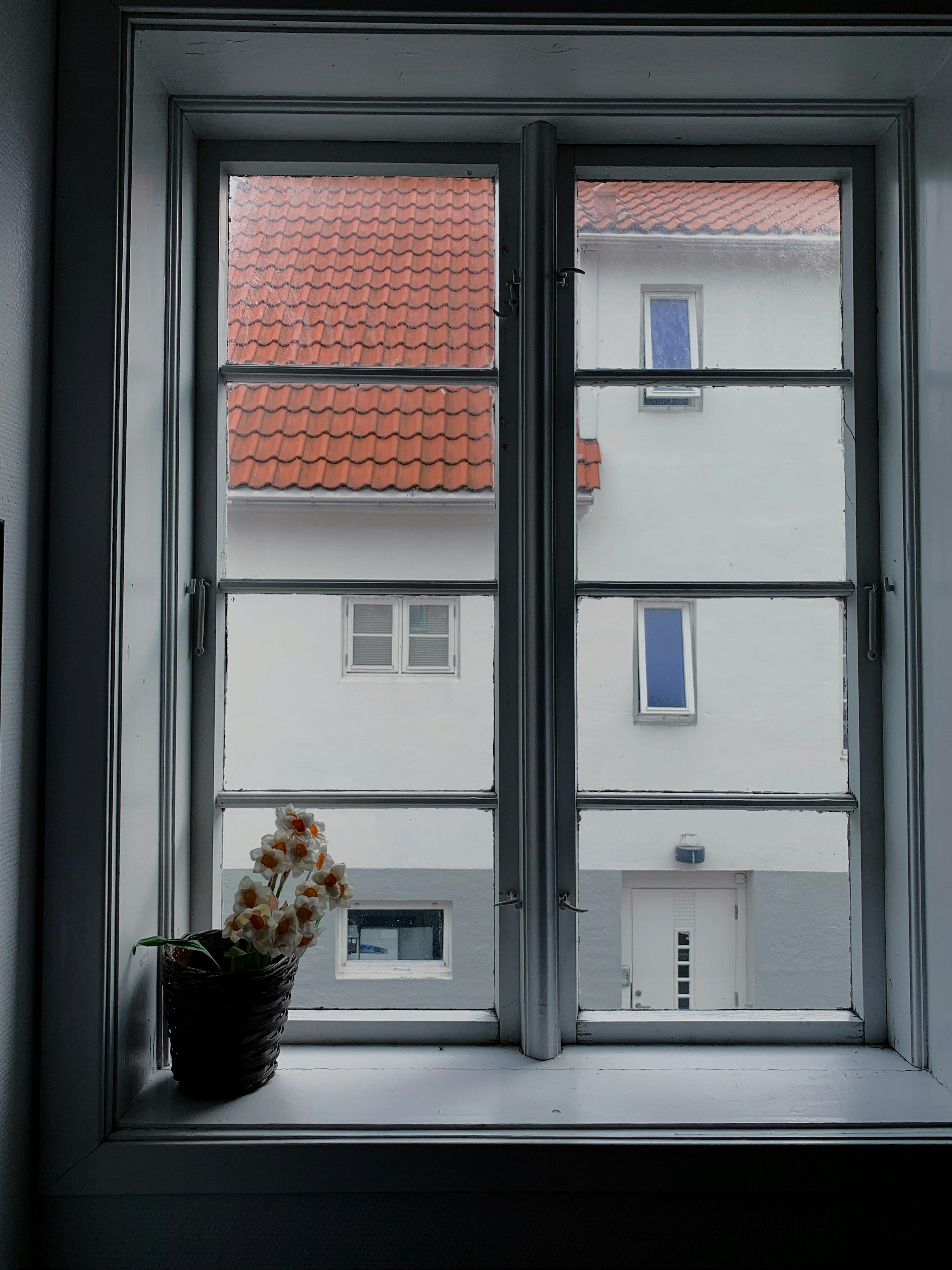 A delicate flower arrangement sits on a windowsill, framing a view of a neighboring building with contrasting textures and colors. The scene evokes a sense of quiet introspection.