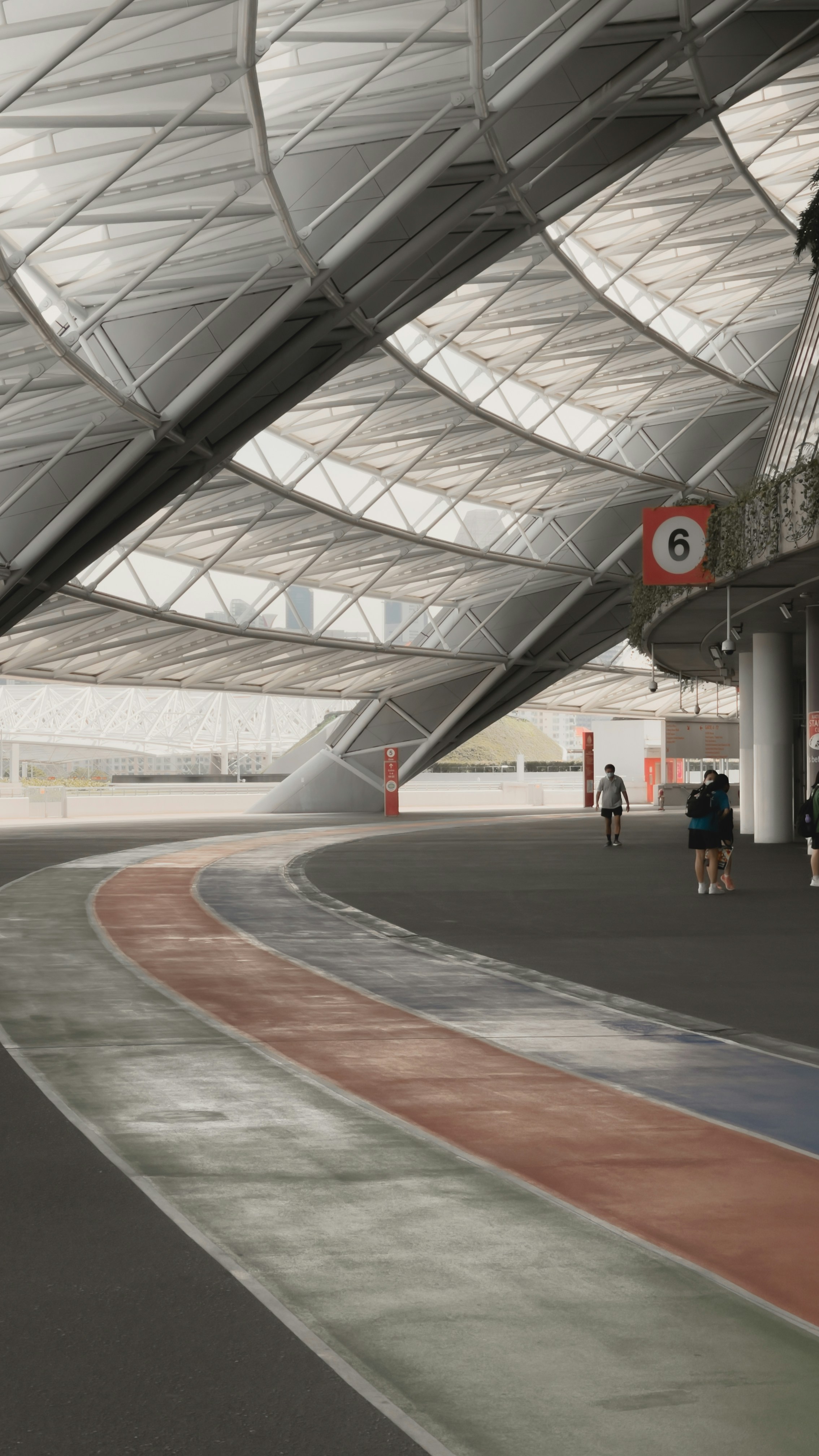 Rocketed Canopy at Platform 6