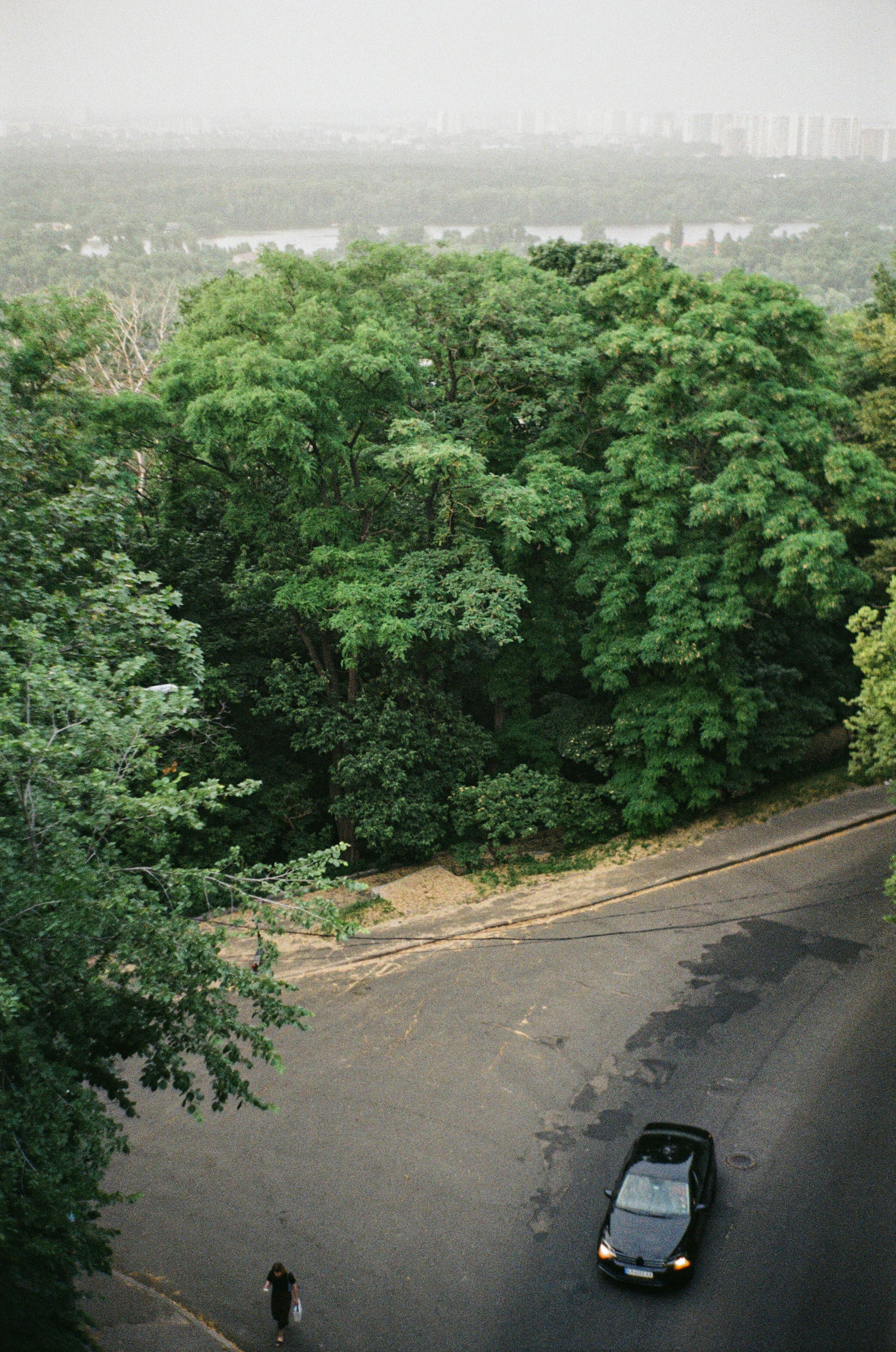 Lush green trees frame a winding road where a lone figure walks past a parked car, blending urban life with nature's tranquility.