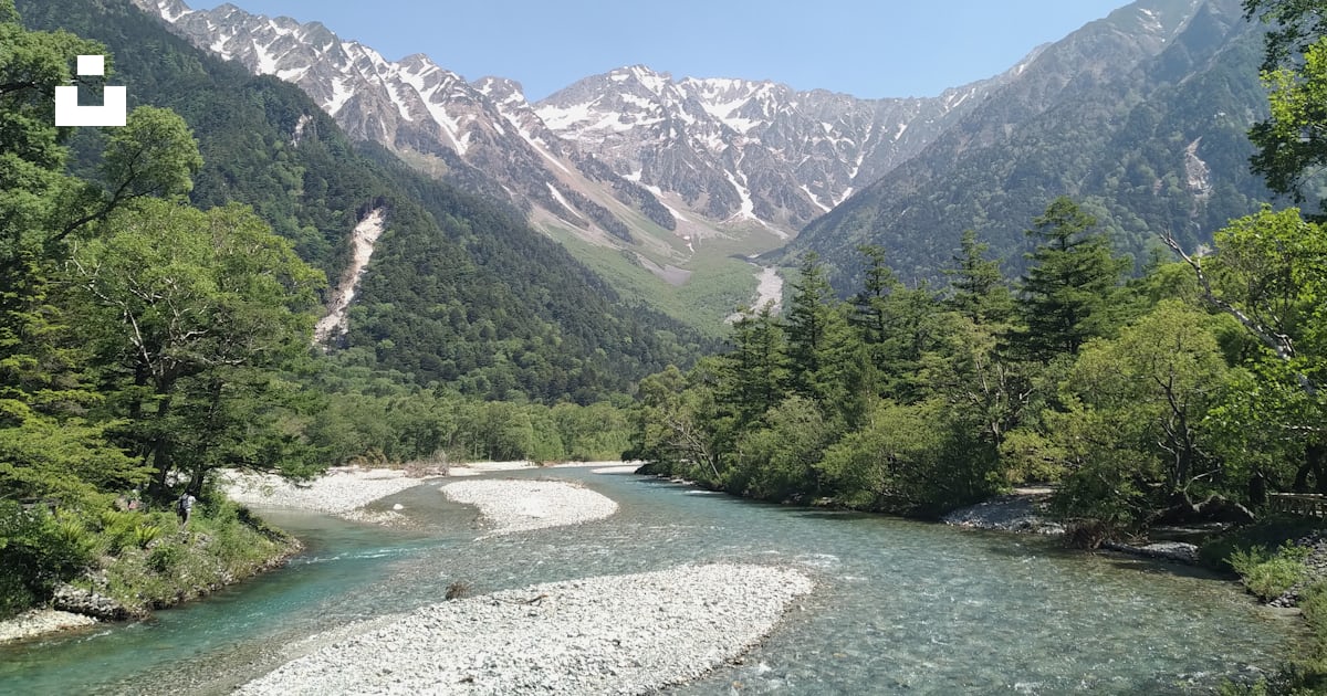 昼間の湖や山の近くの緑の木々の写真 Unsplashの木の無料画像