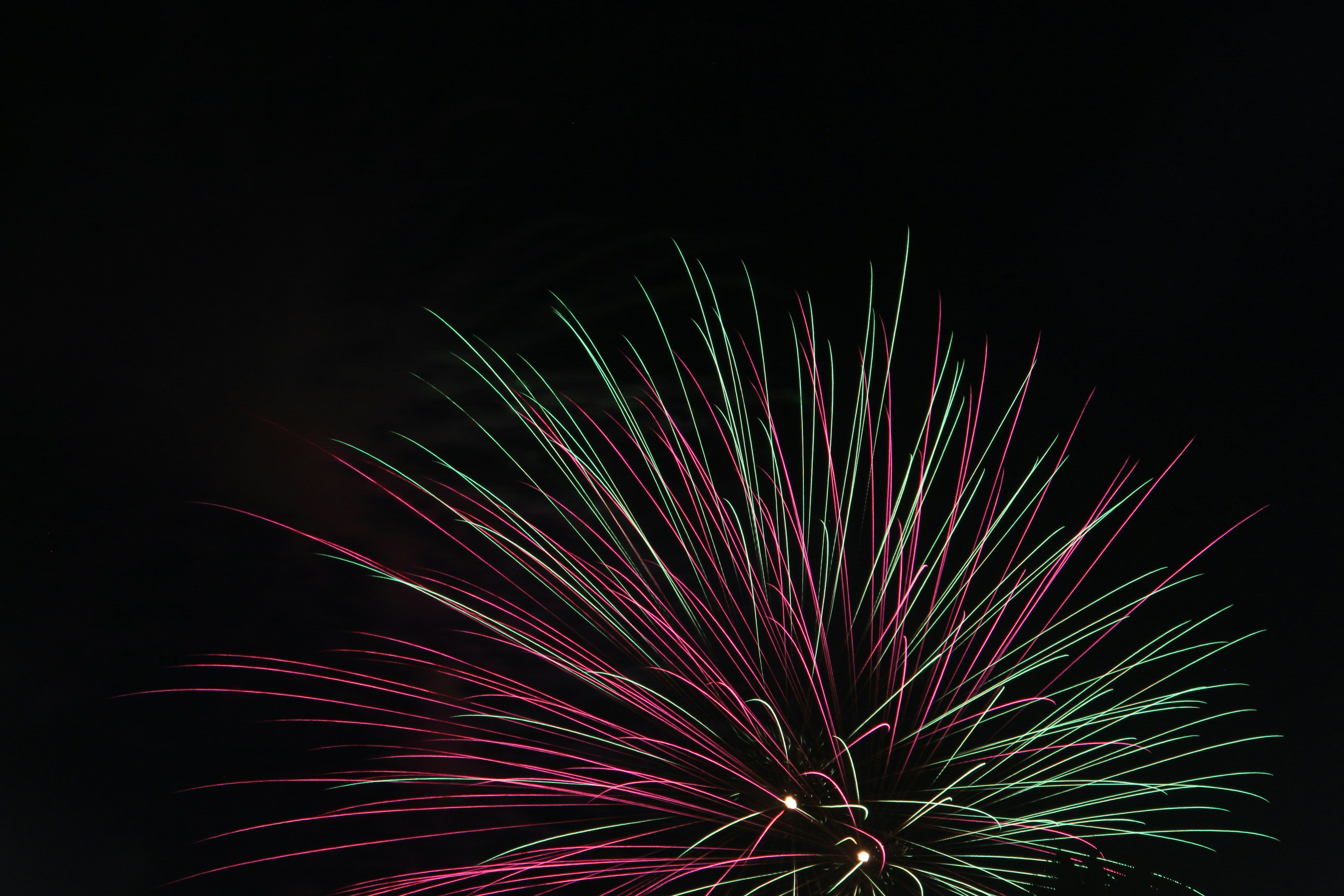 Vibrant fireworks burst in a fan-like pattern, showcasing hues of pink and green against a dark sky.