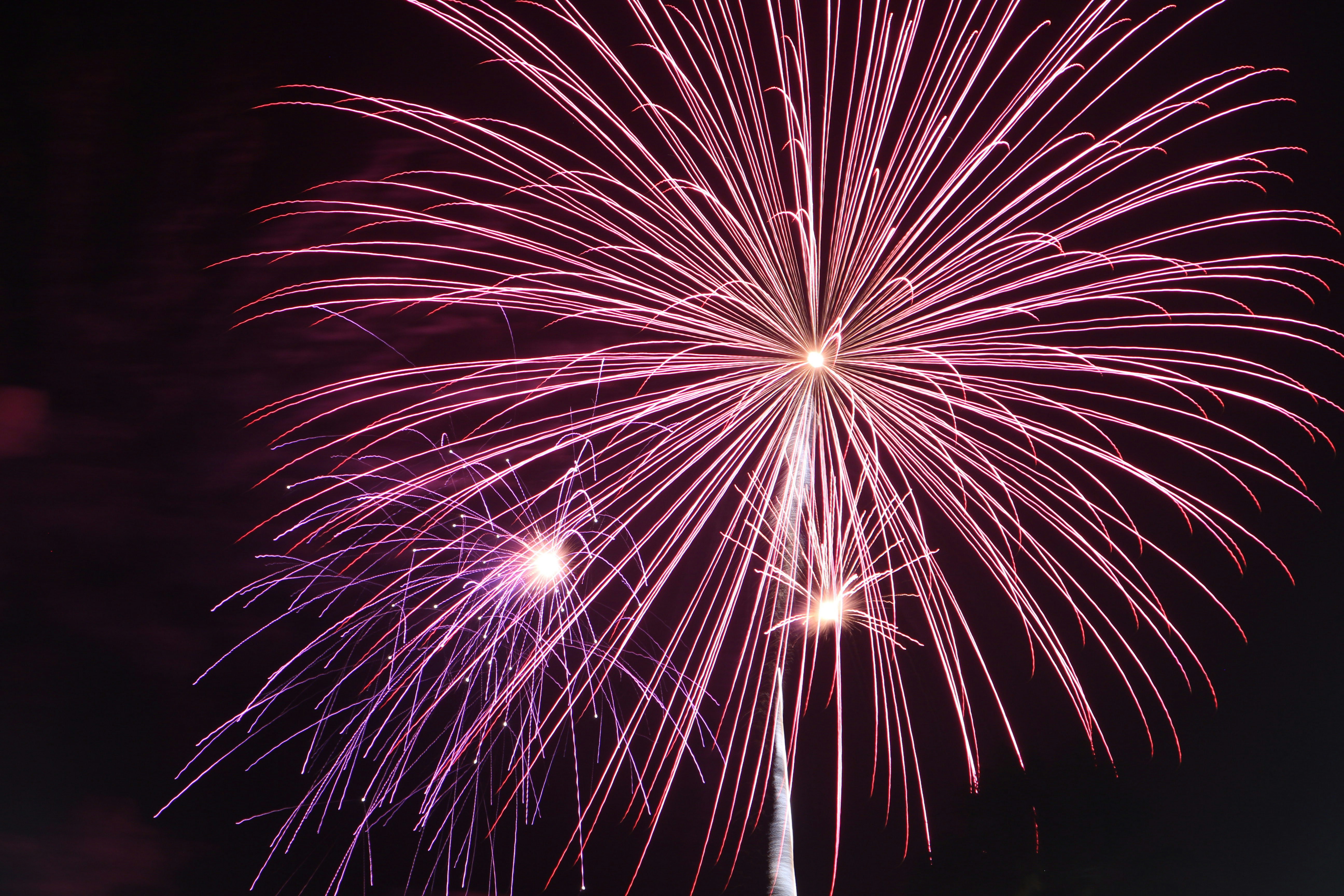A pink fireworks is lit up in the night sky photo – Free Wallpaper ...