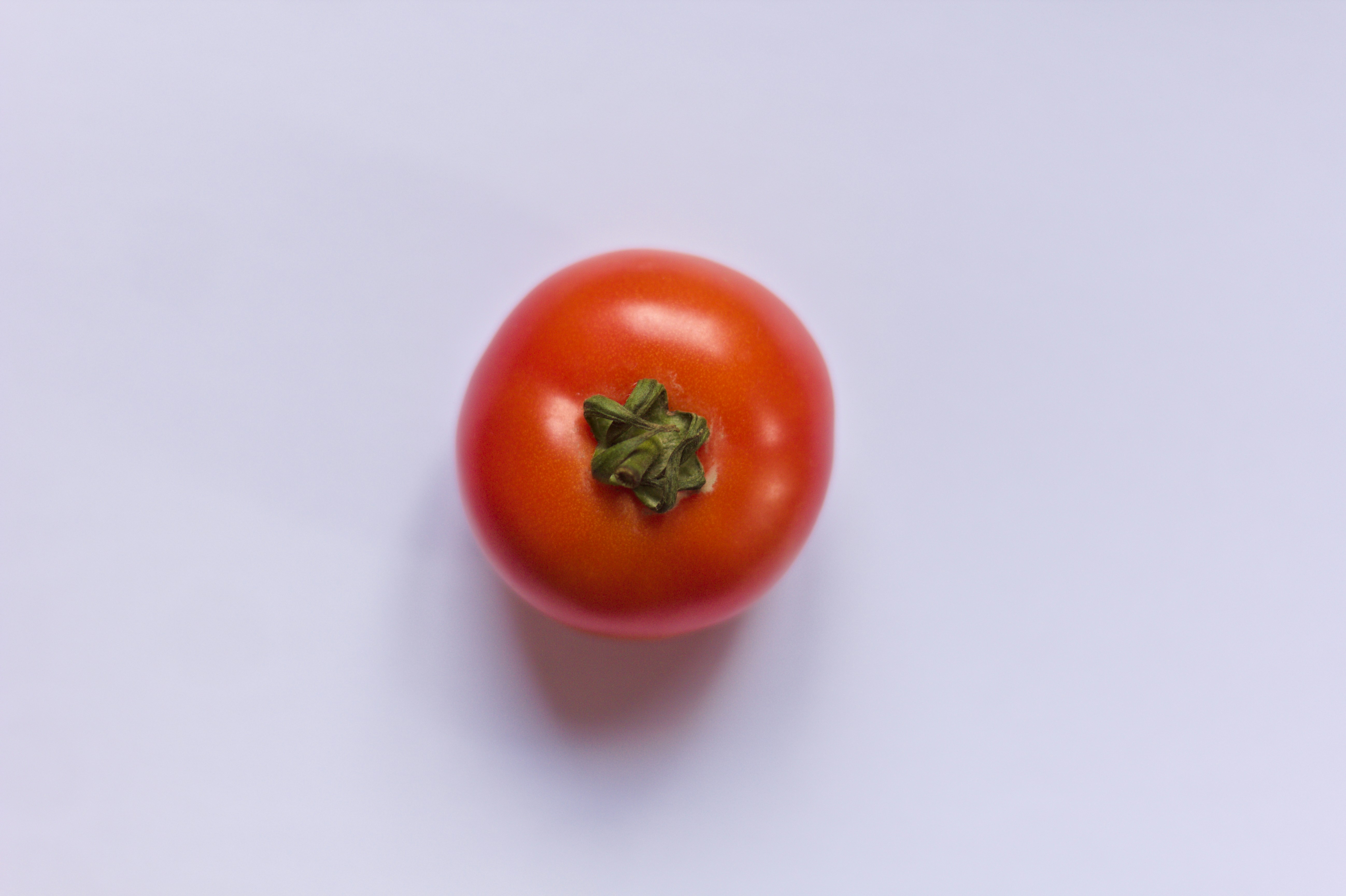 Ripe red tomato resting on a smooth white surface, showcasing its glossy skin and green stem.