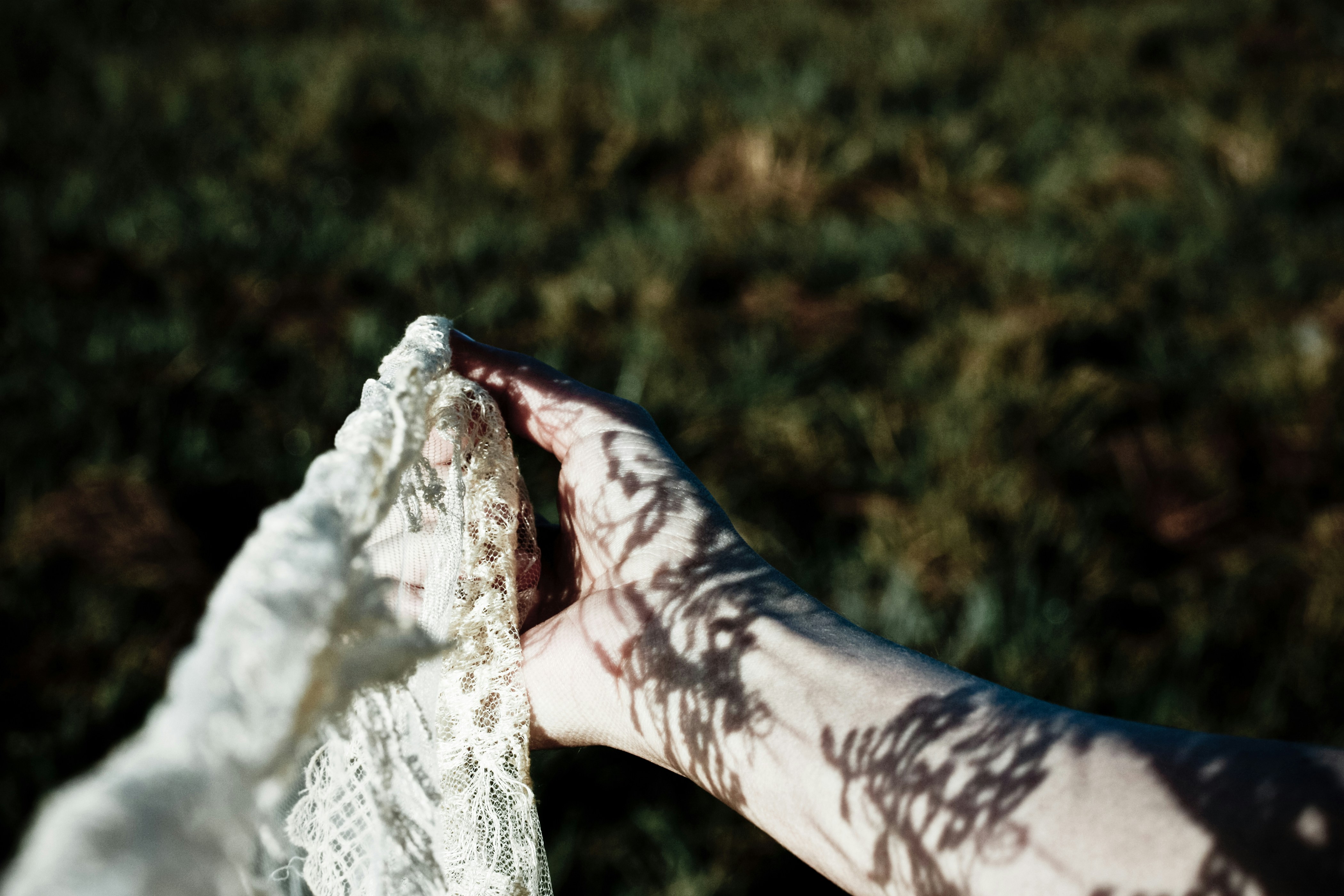 Lace and Shadow: A Hand Traverses Dappled Afternoon Light
