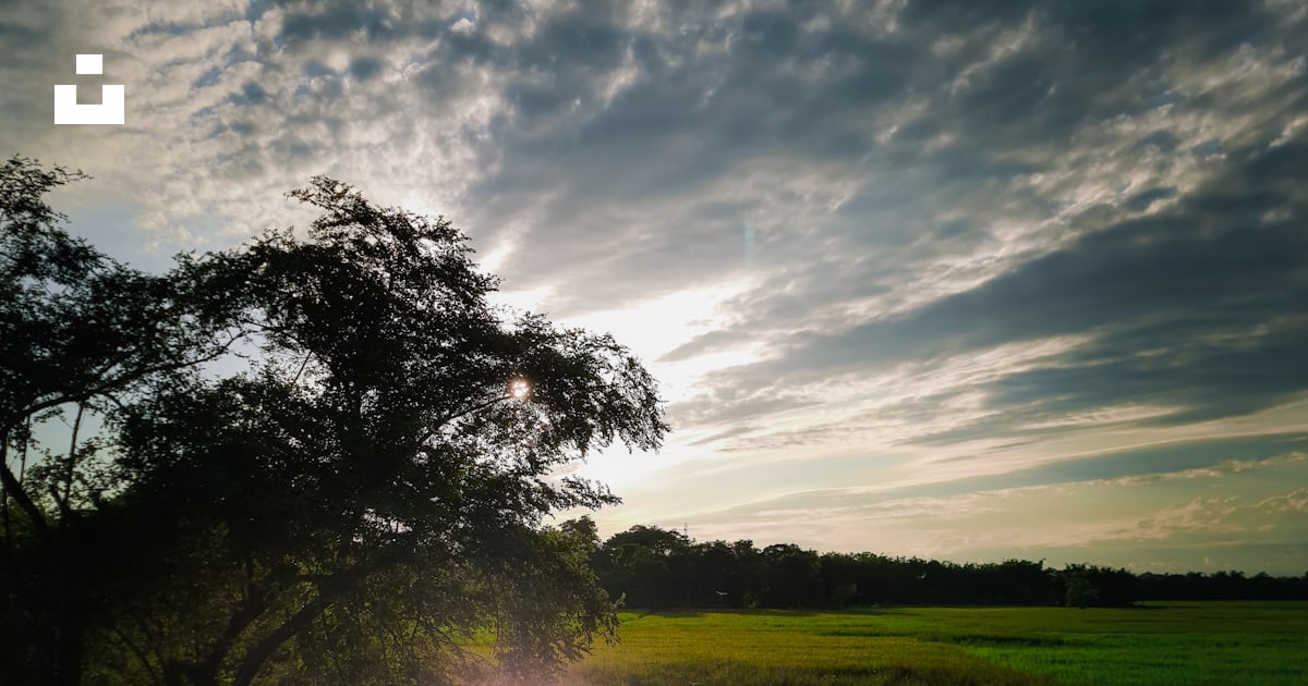 Green Grass Field With Trees Near River Under Cloudy Sky During Daytime