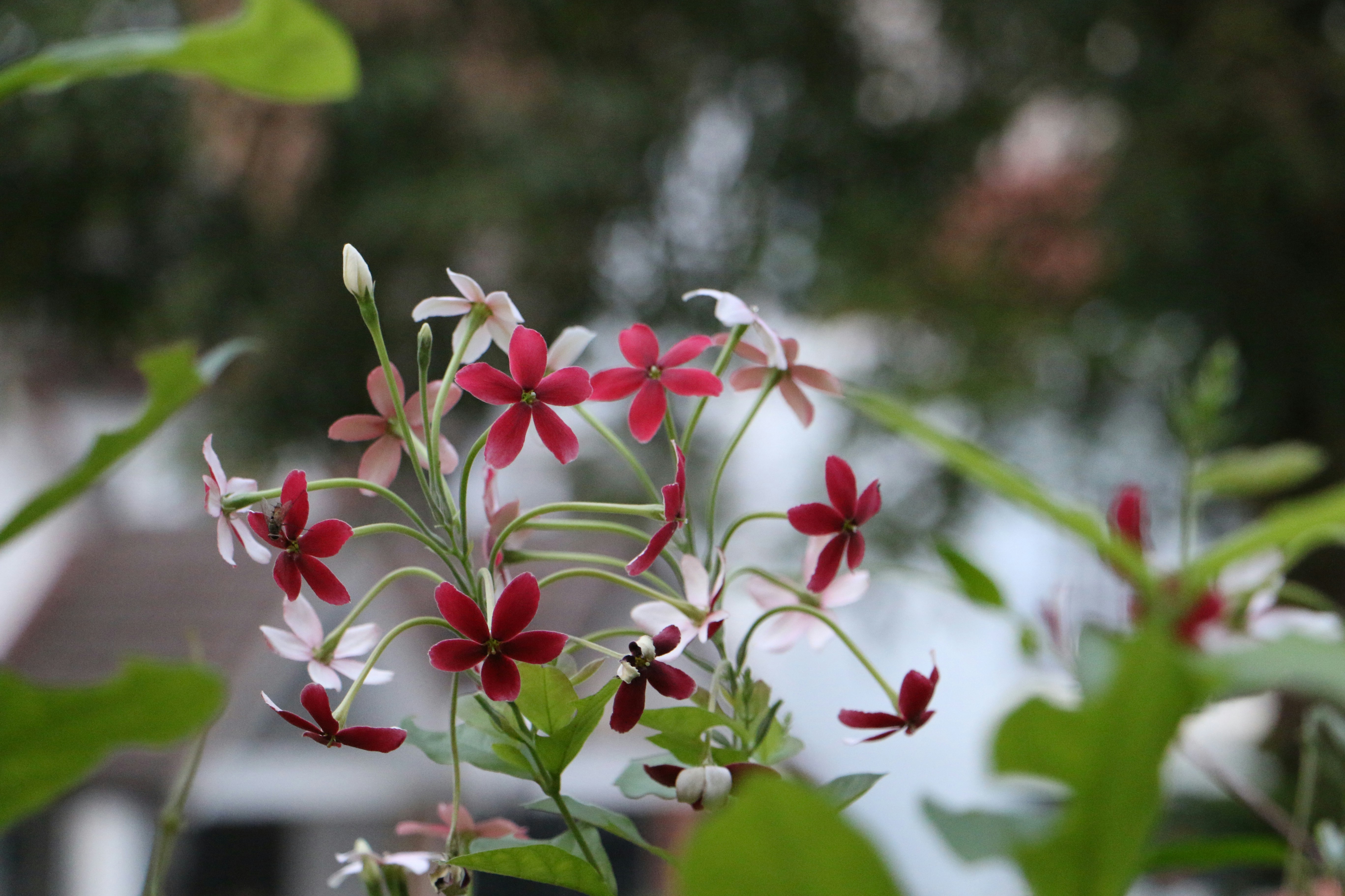 Mastering the Raiden: Mechabellum’s Aerial Lightning Bruiser | MechaTactics