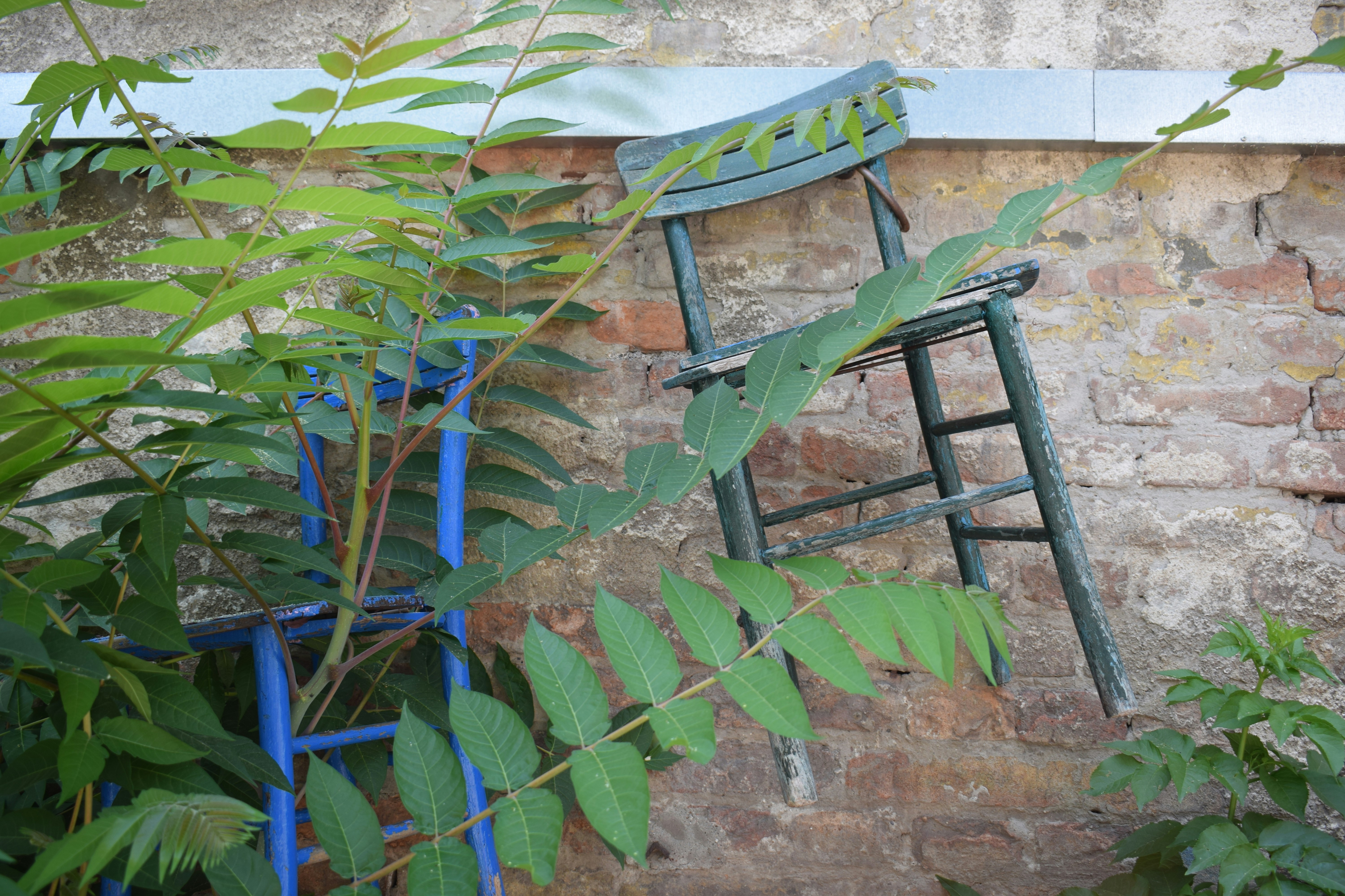 Diagonal Stool Against a Weathered Brick Wall Framed by Ivy and Blue Rails