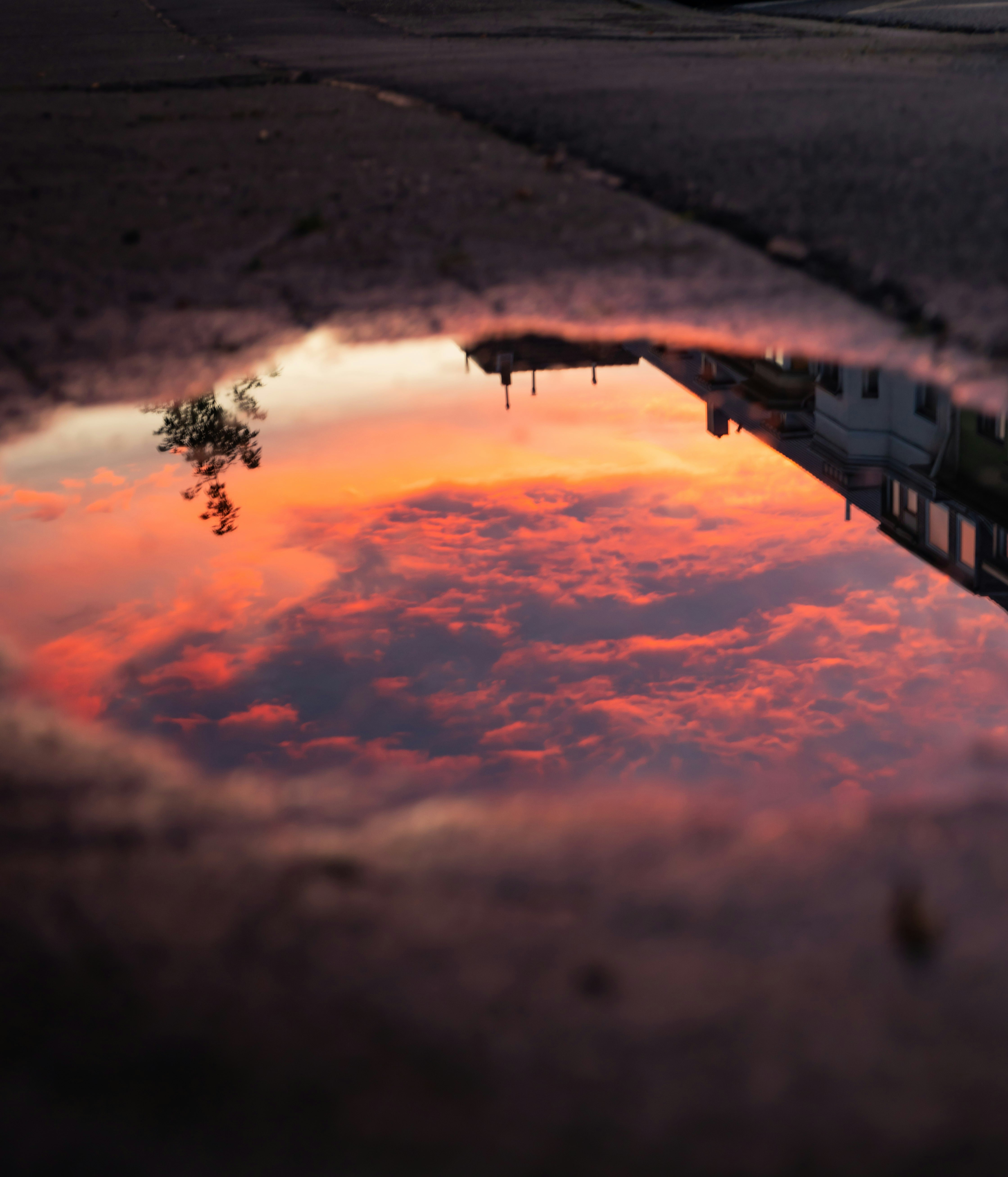 Sunset Skyline in a Reflected Quiet