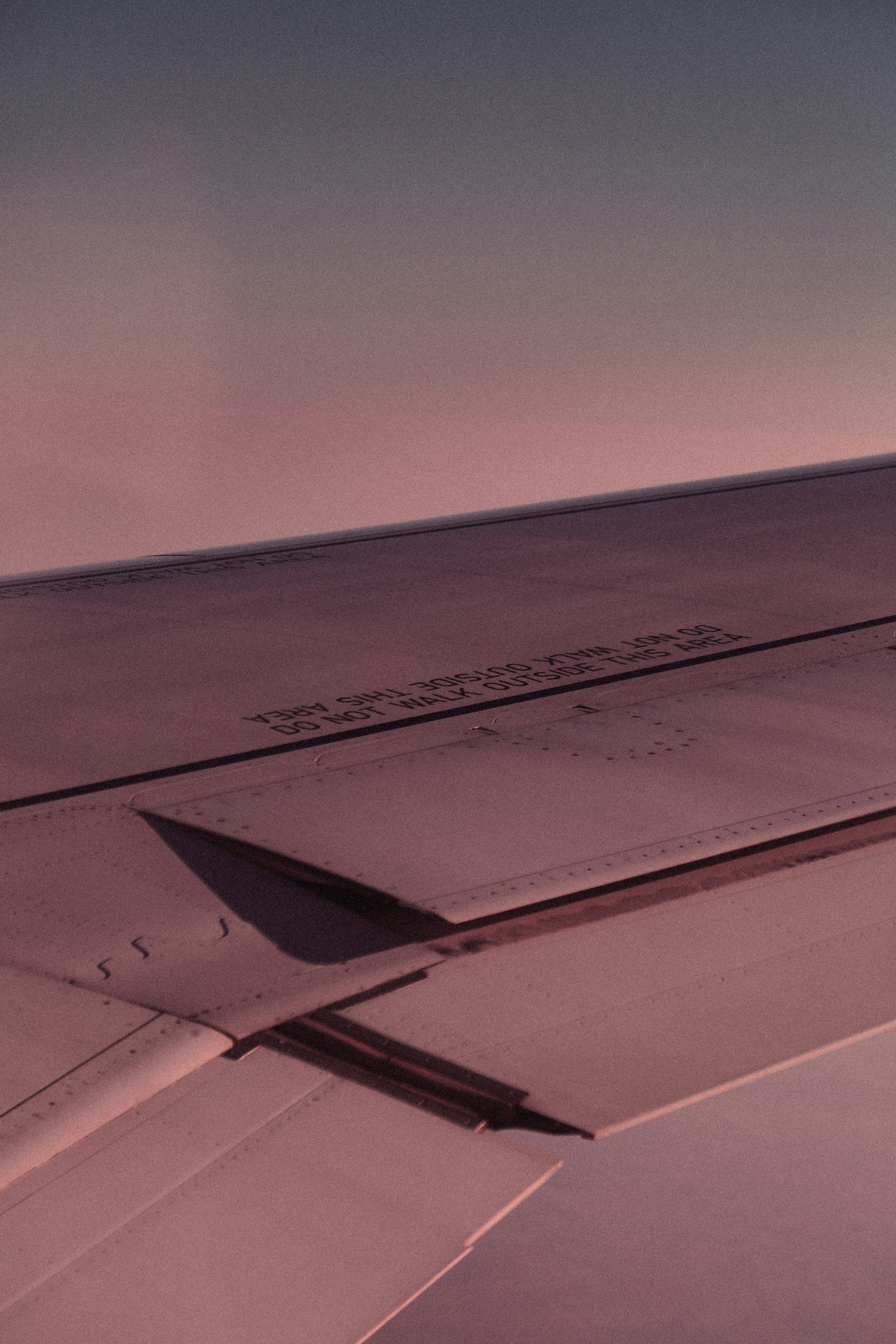 Twilight Wing: A Quiet Moment Above the Pink-Hued Skyjabez Samuel