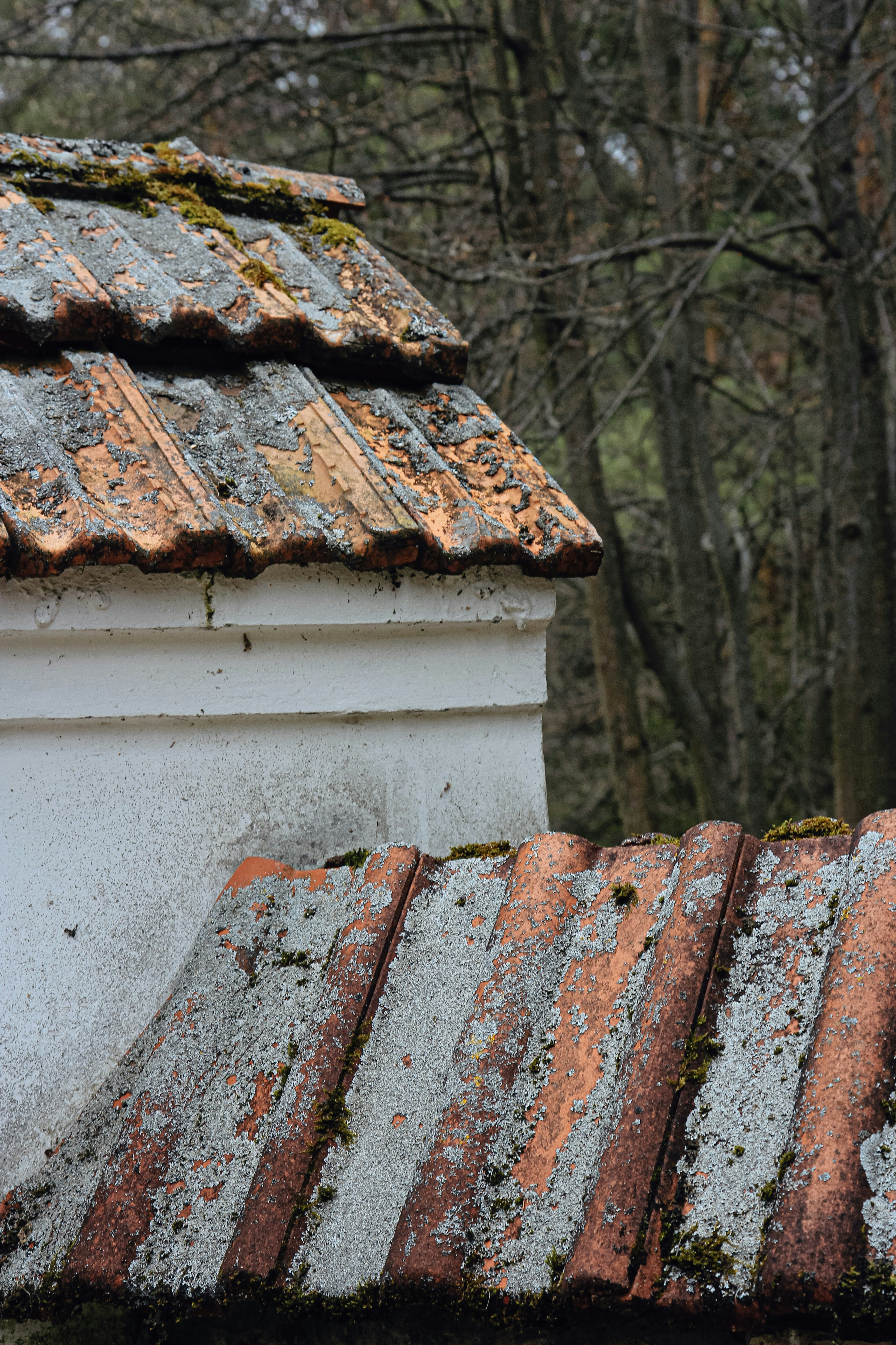 Mossed Roof Tiles and Weathered White Chimney