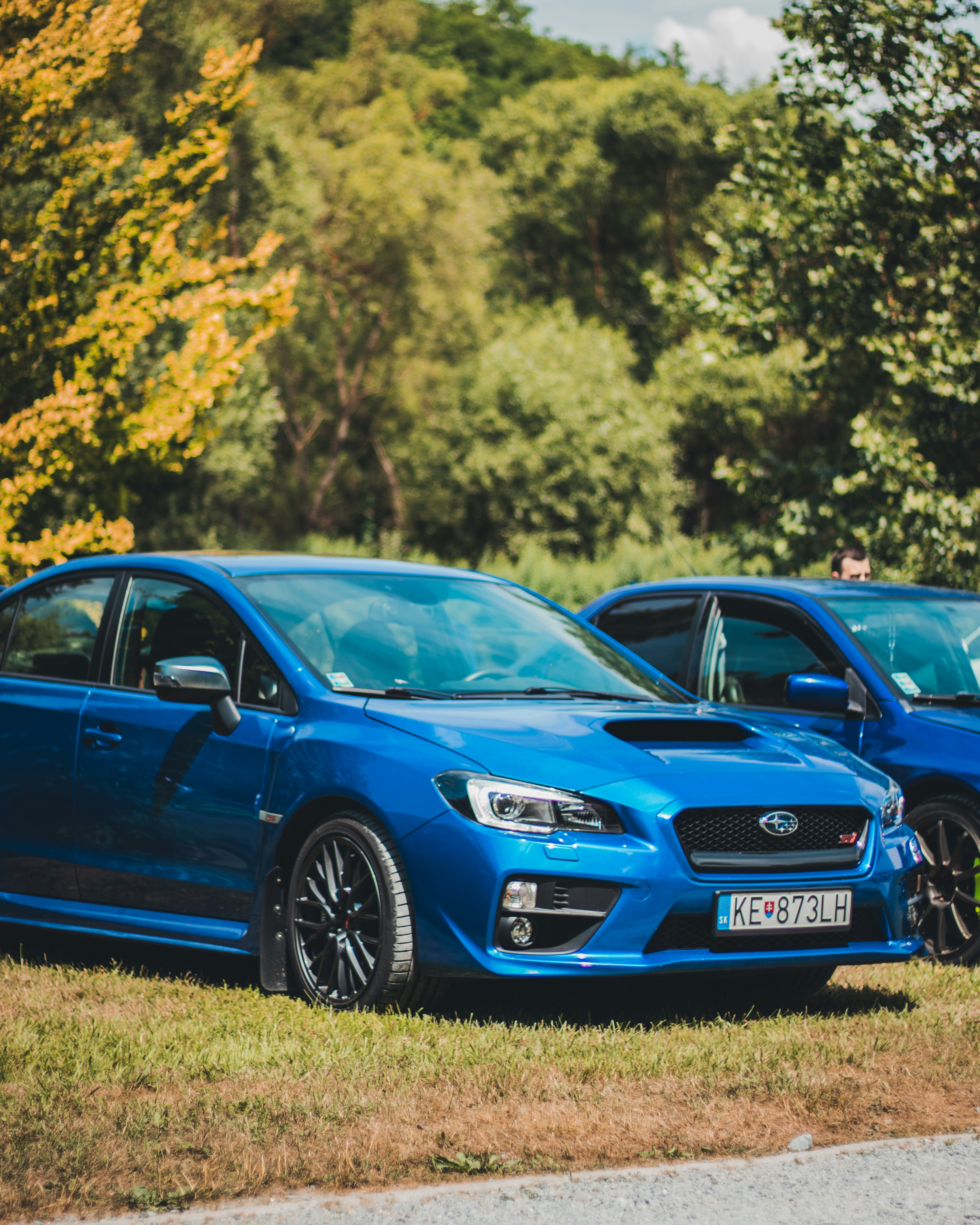 Blue Stance: A Row of Subtle Speed under Autumn Trees