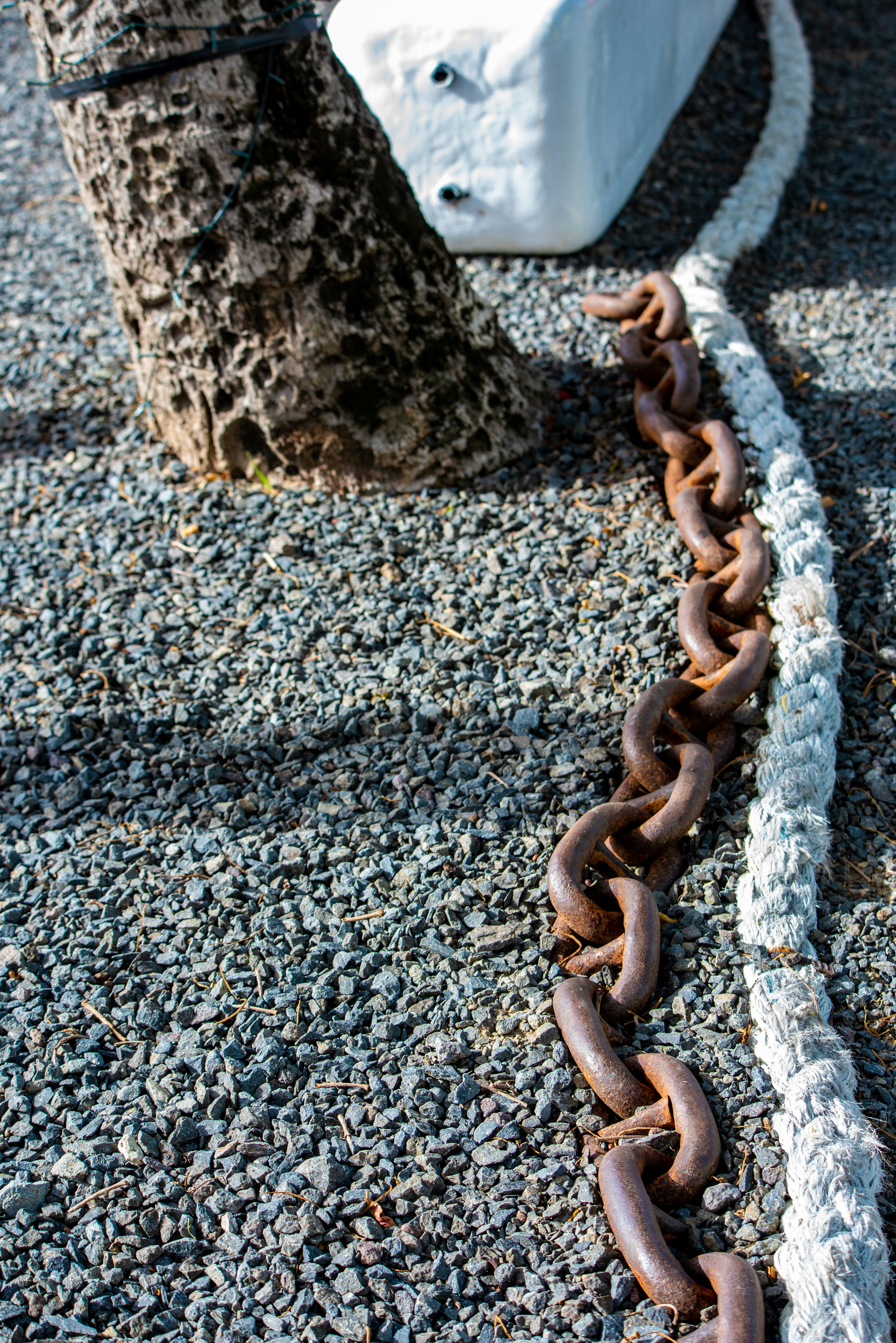 A rustic chain intertwined with a thick rope lies on gravel, showcasing the contrast between natural and industrial elements. The scene is framed by a tree and a white object in the background.