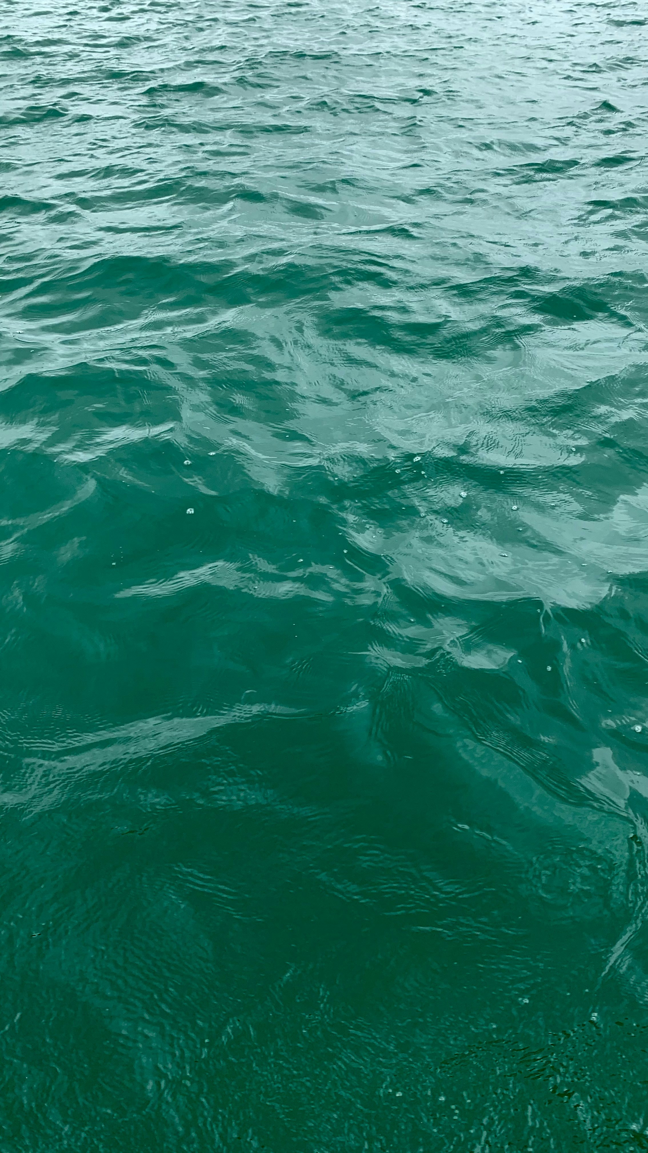 Martin Robles (@martinrobles) | Unsplash Photo Community