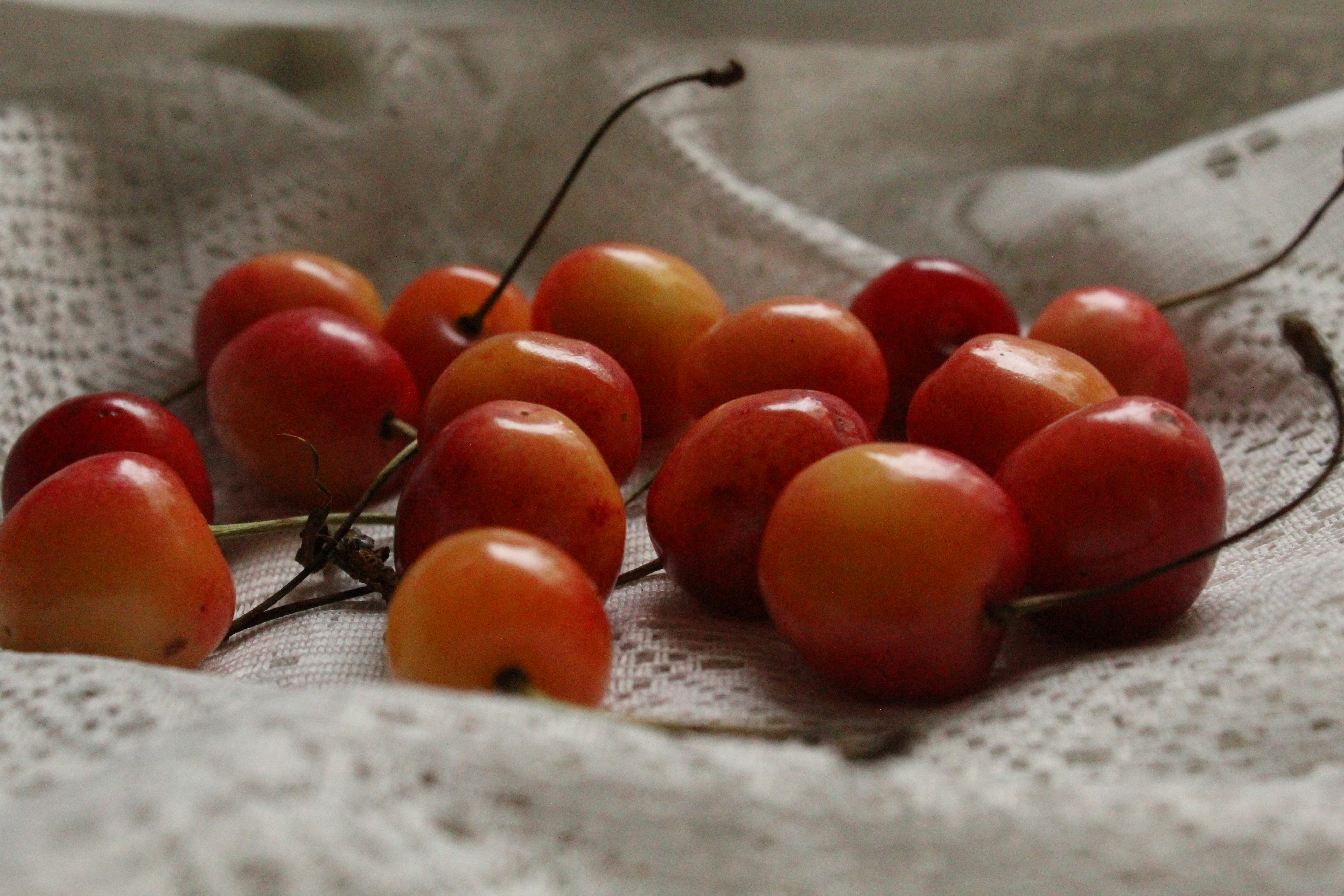 Whispering Cherries on Lace: A Quiet Still-Life of Color and Texture