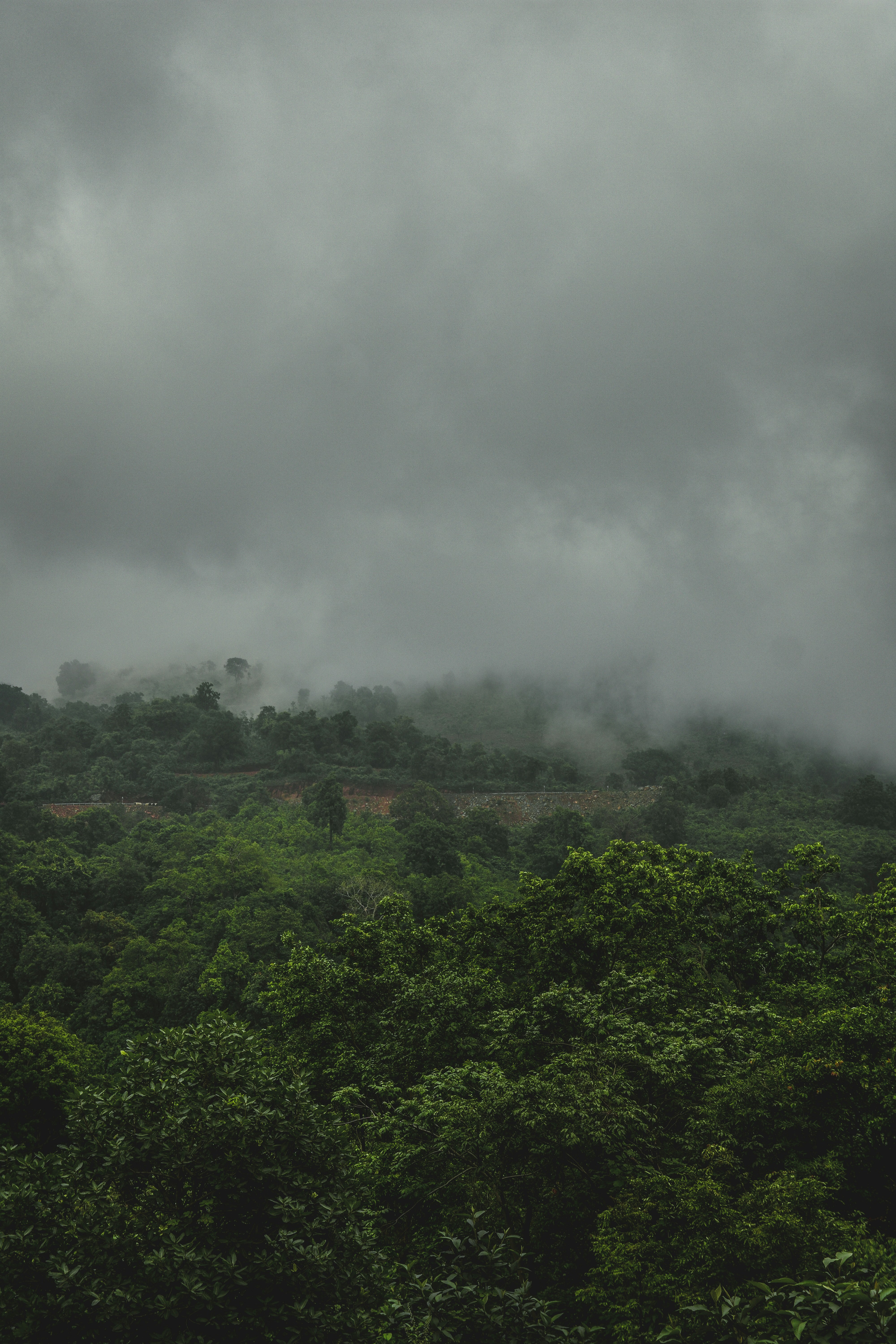 Green trees under white clouds photo – Free Odisha Image on Unsplash