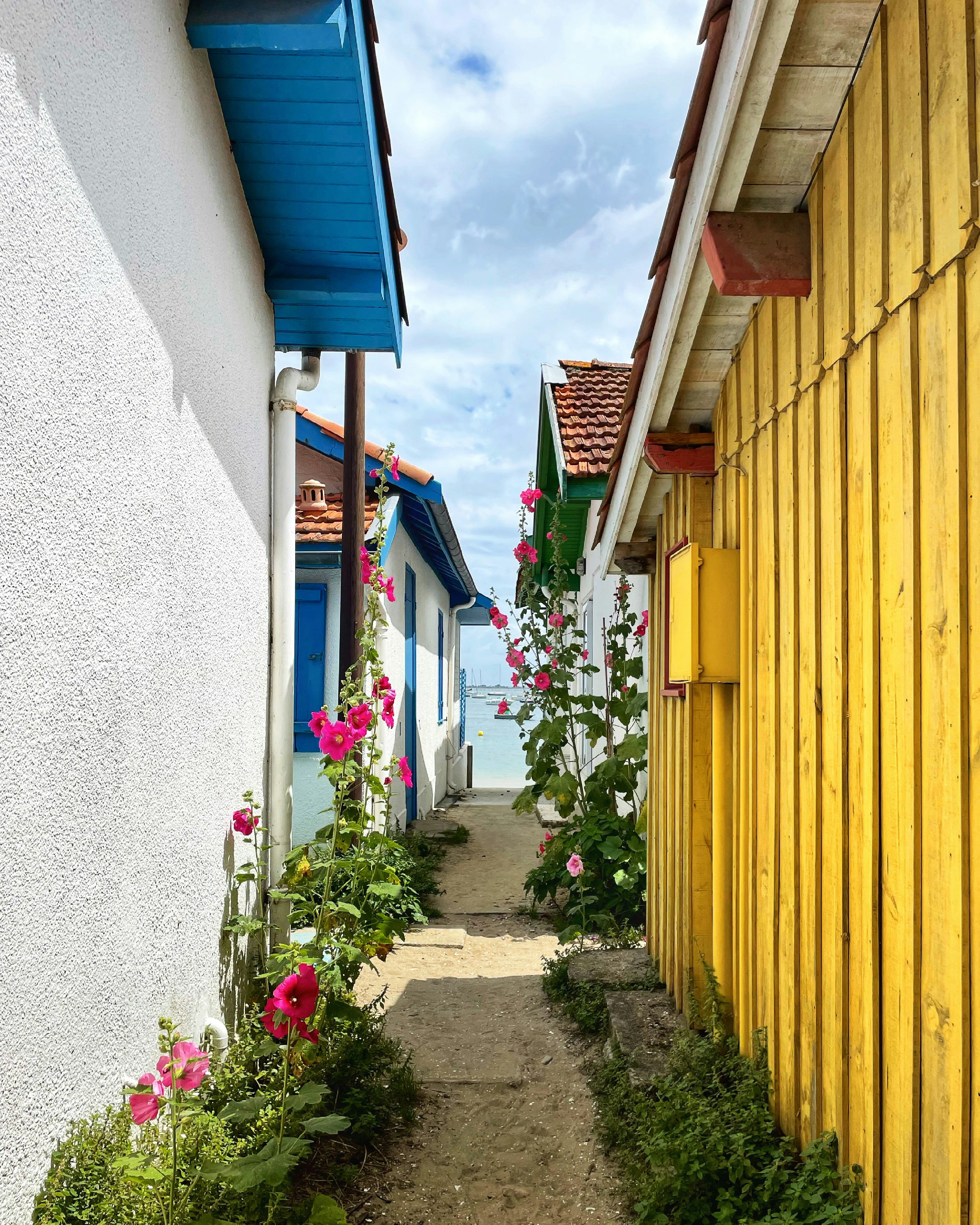 Narrow pathway lined with vibrant flowers and colorful cabins leading towards the water. The bright hues create a lively atmosphere.