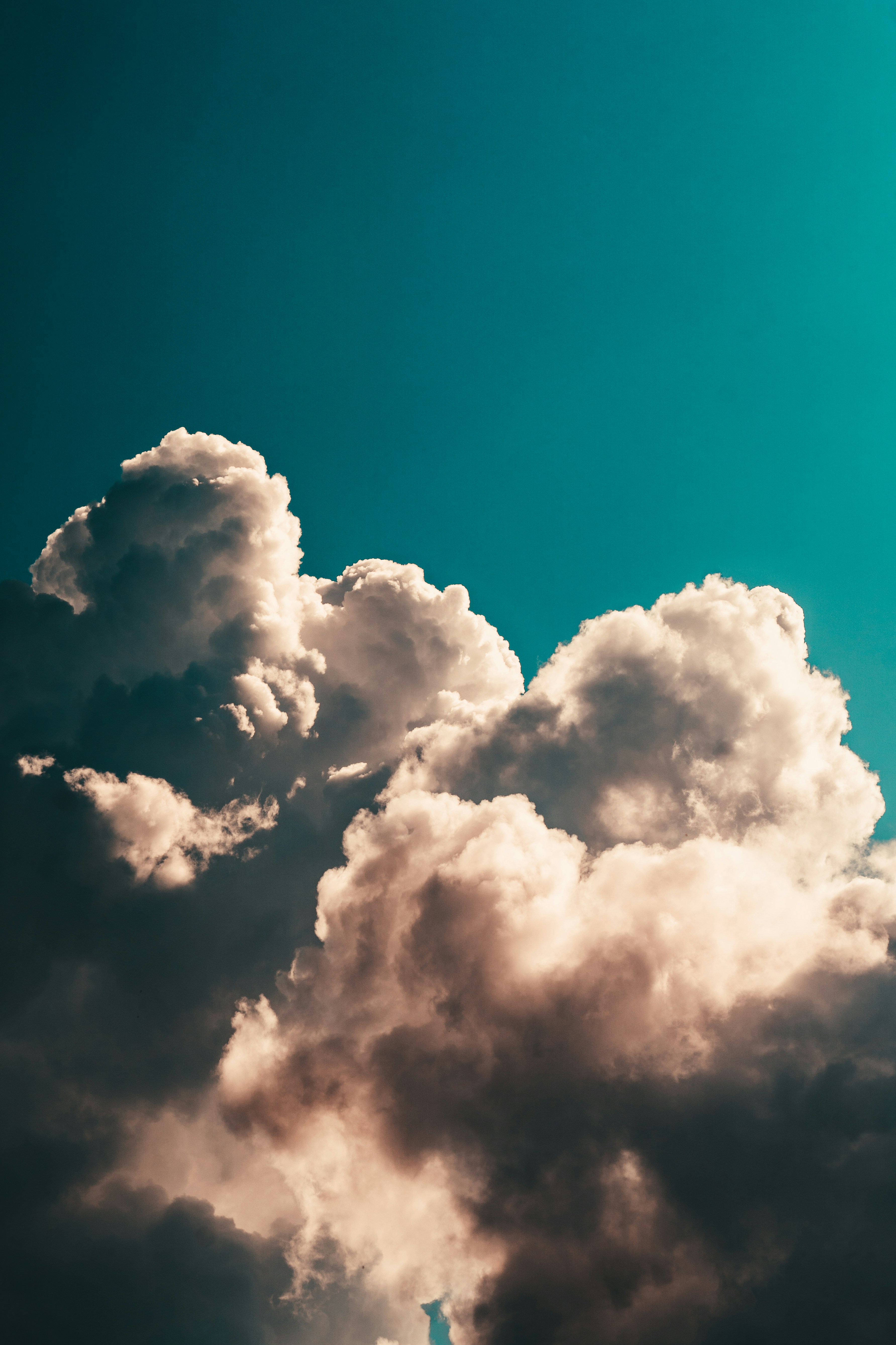 Emil Widlund (@emilwidlund) | Unsplash Photo Community