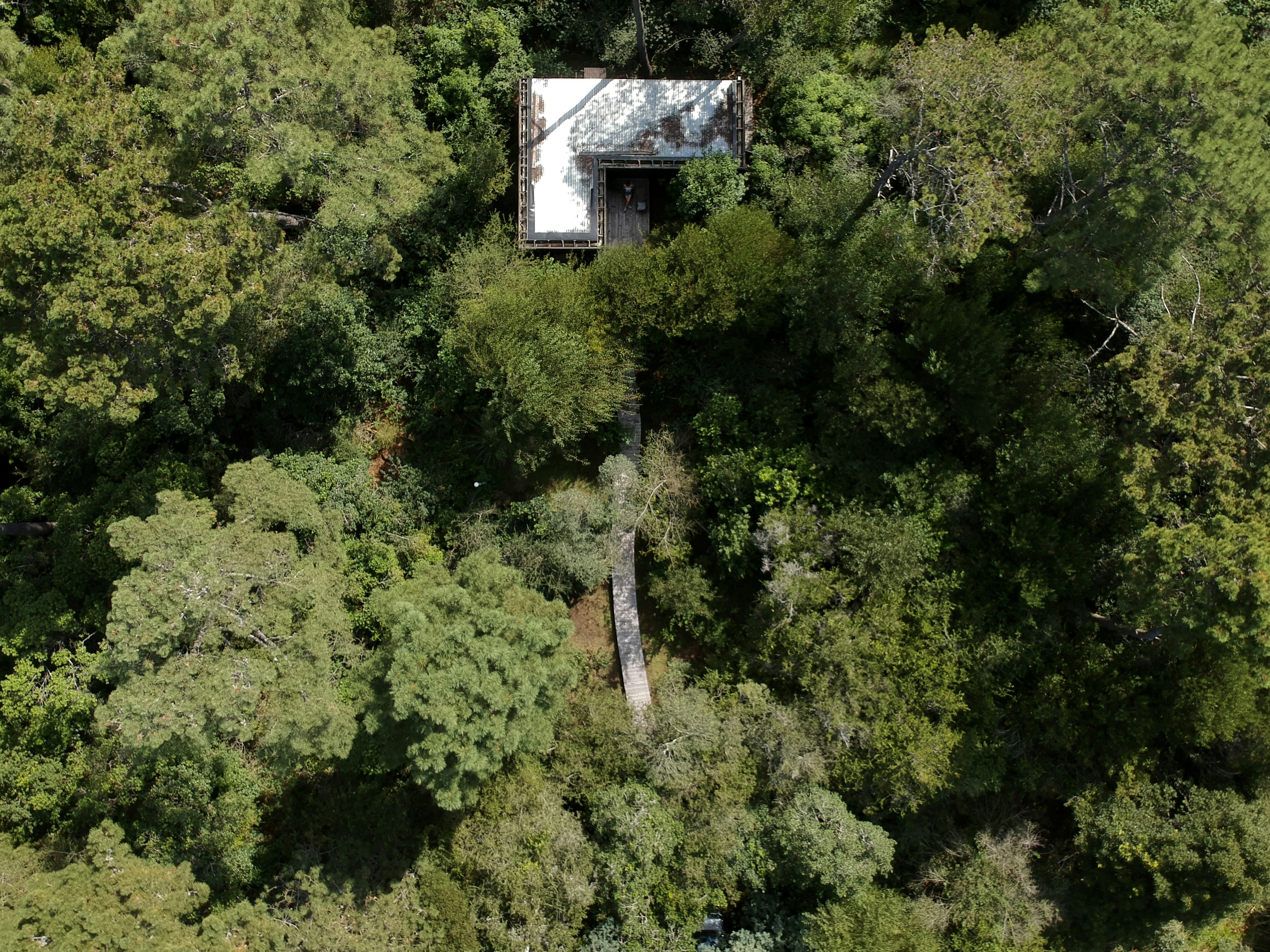 Aerial view of a small house nestled among dense green trees during daytime.