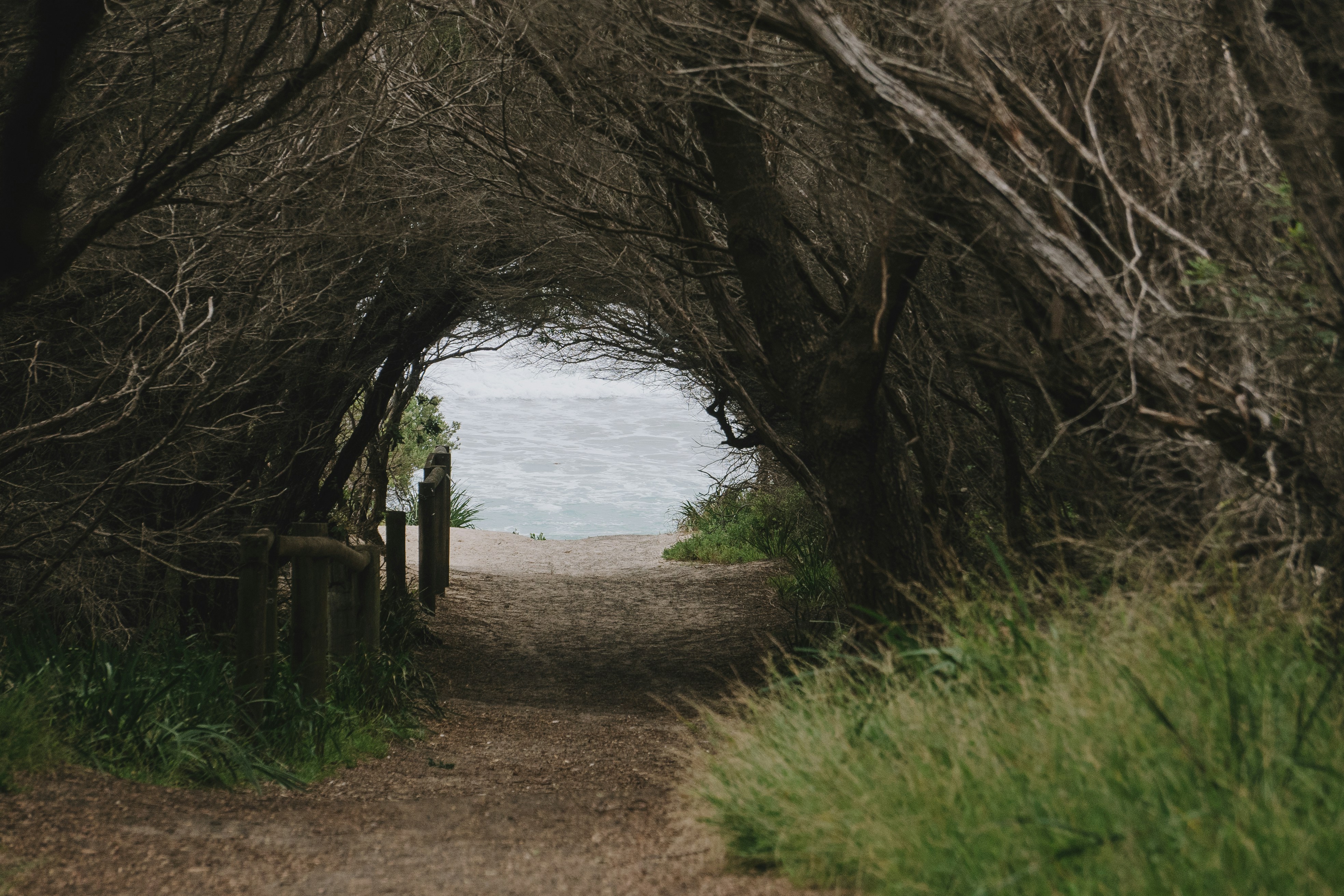 Light at the End of a Gated Tunnel