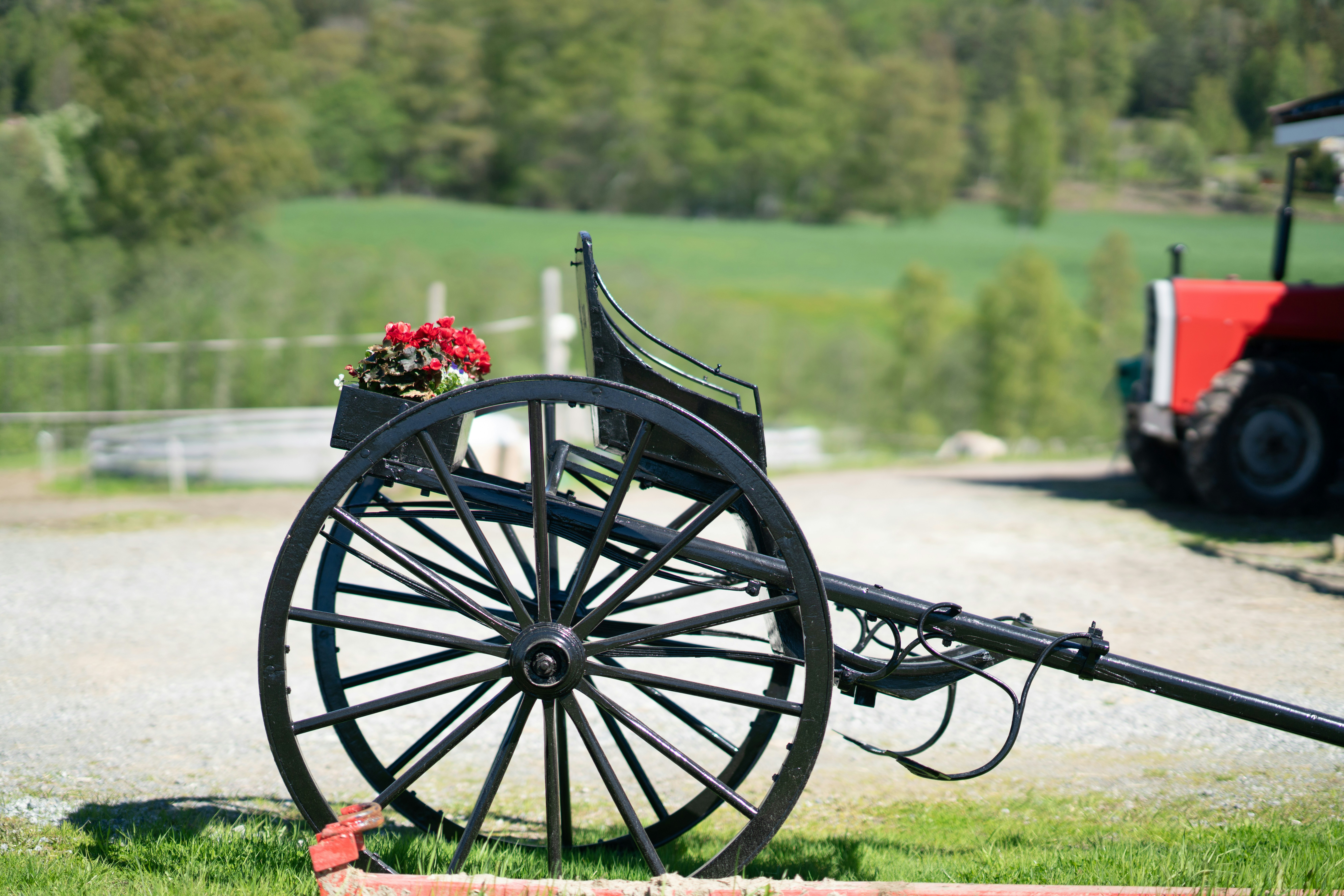 Resting Wheel: A Historic Cart’s Quiet Tilt in Open Fields