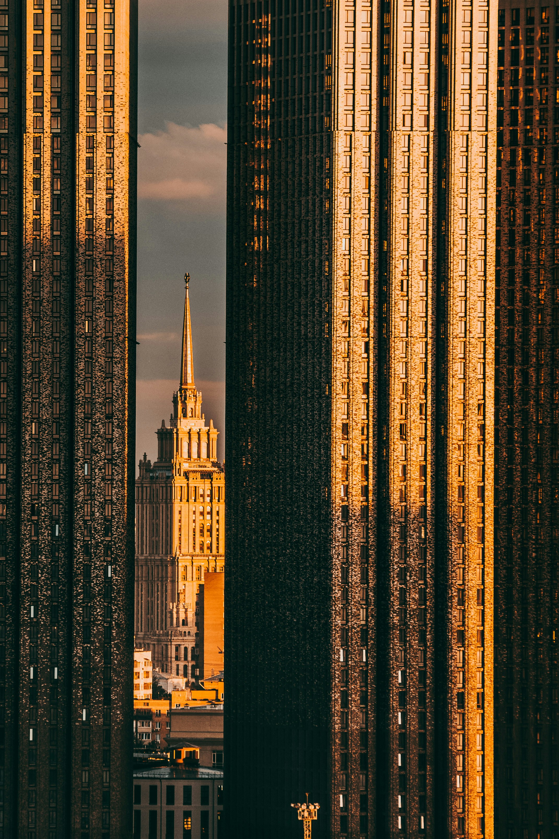 brown high rise building during night time
