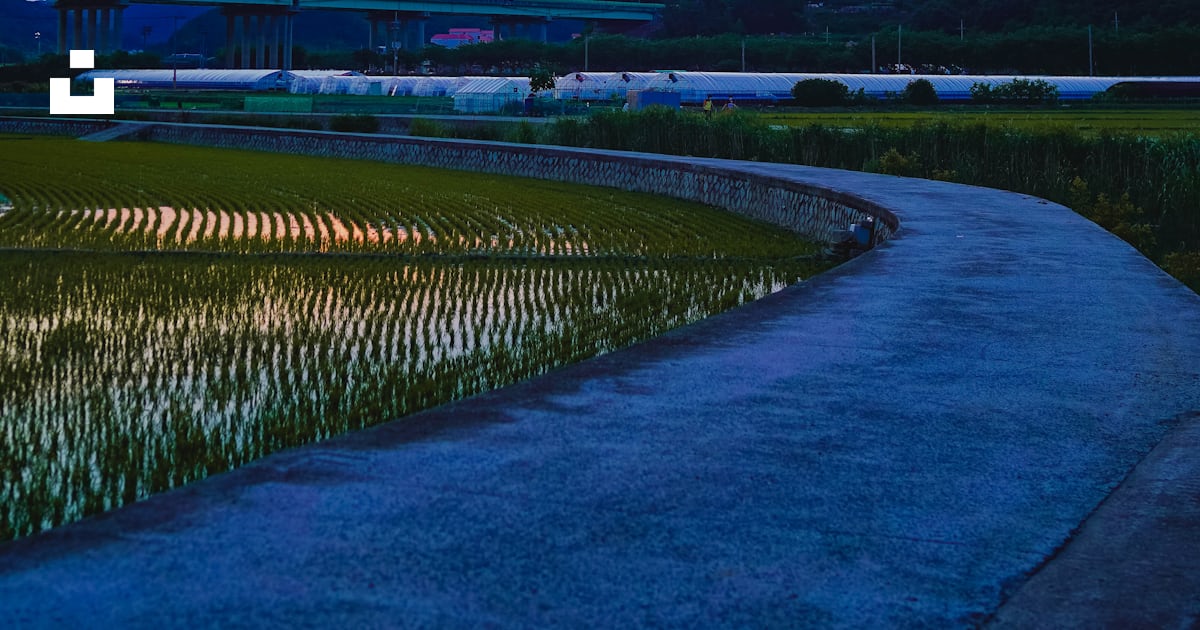 Green Grass Field Near Body Of Water During Sunset Photo Free 경상남도