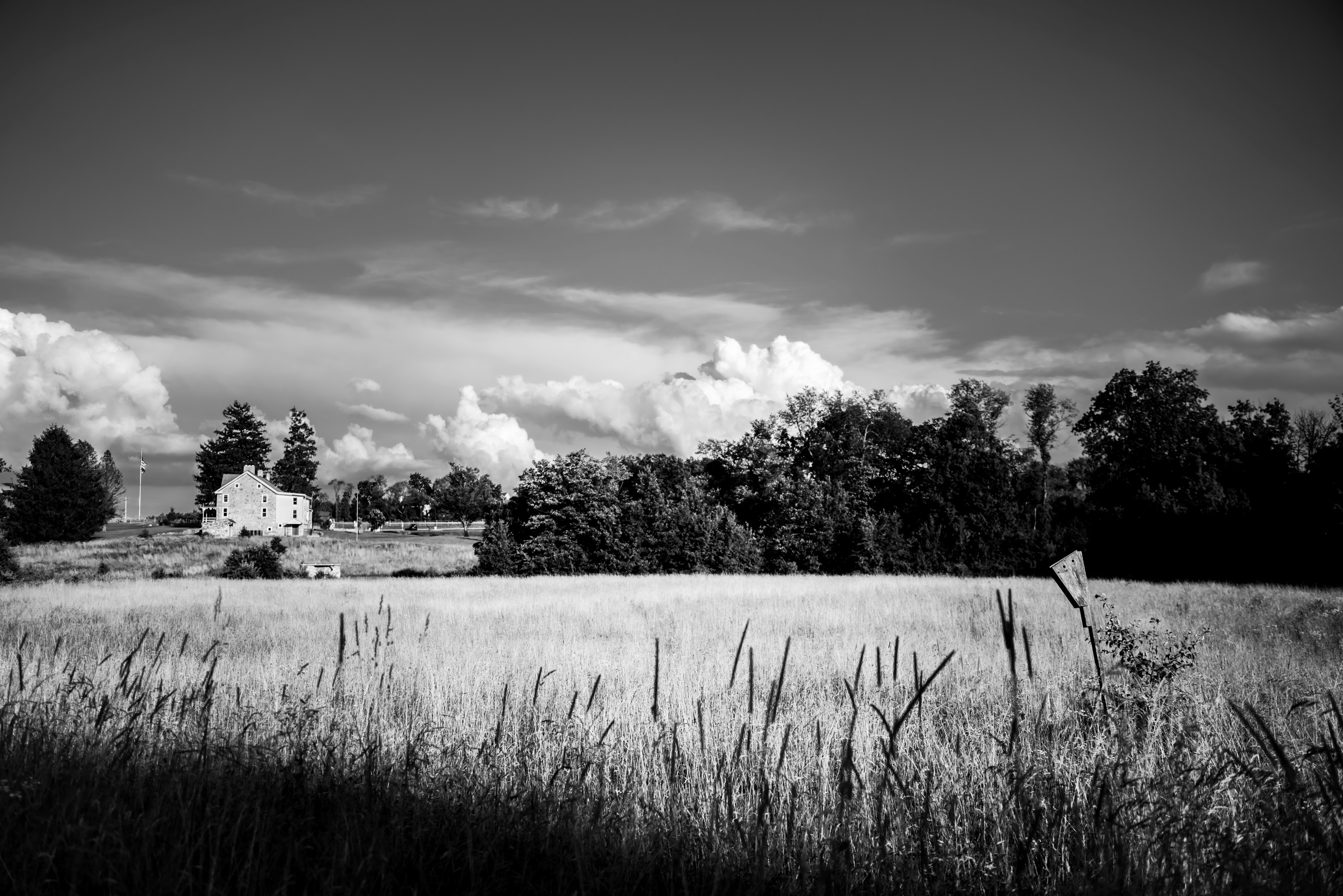 Black and white landscape with a field of tall grass and trees beneath a cloud-filled sky.