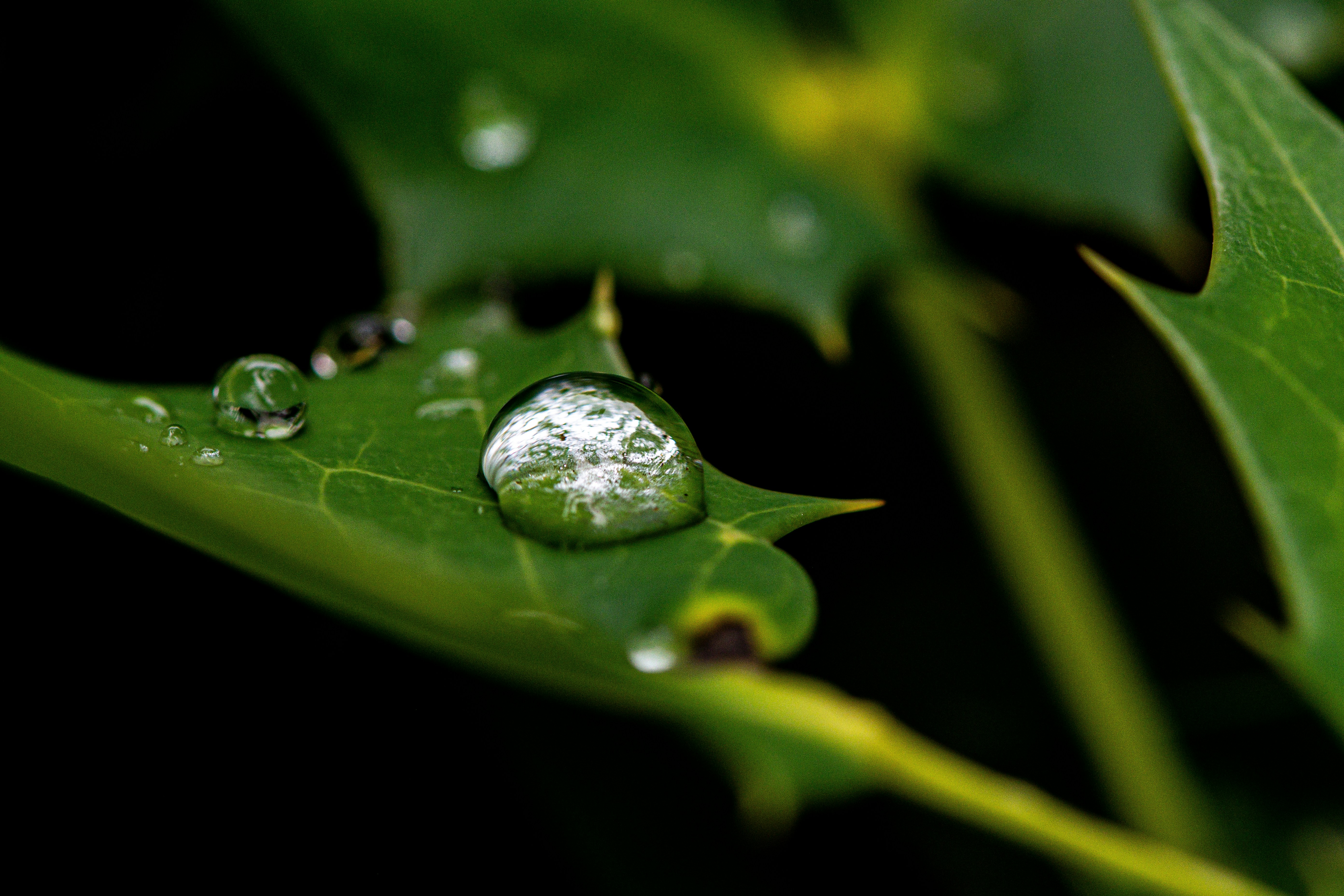 Close-up of water droplets resting on a green leaf, showcasing intricate details and reflections. The image emphasizes the delicate beauty of nature.