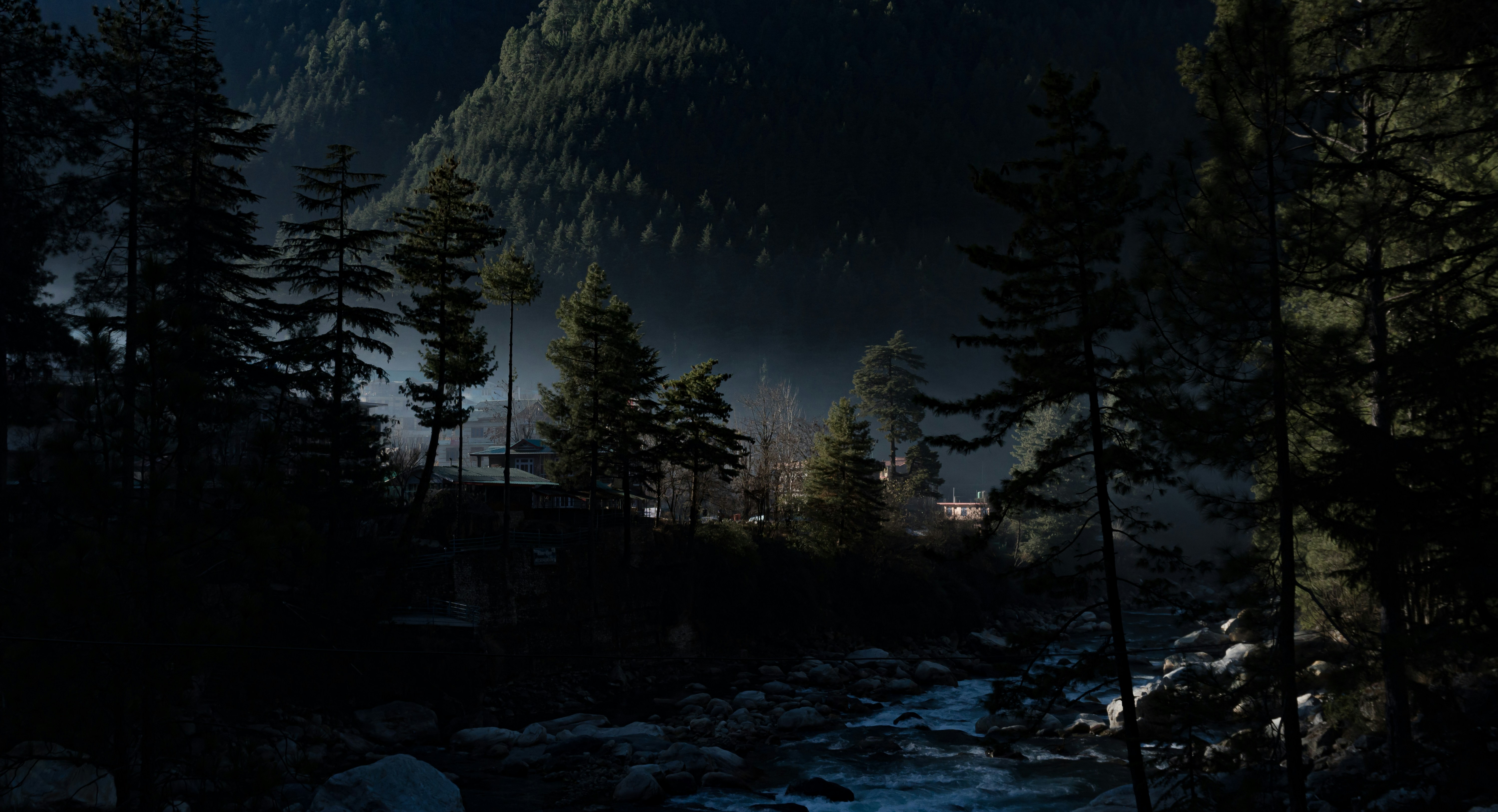 Moonlit Pines Over a Mountain Stream