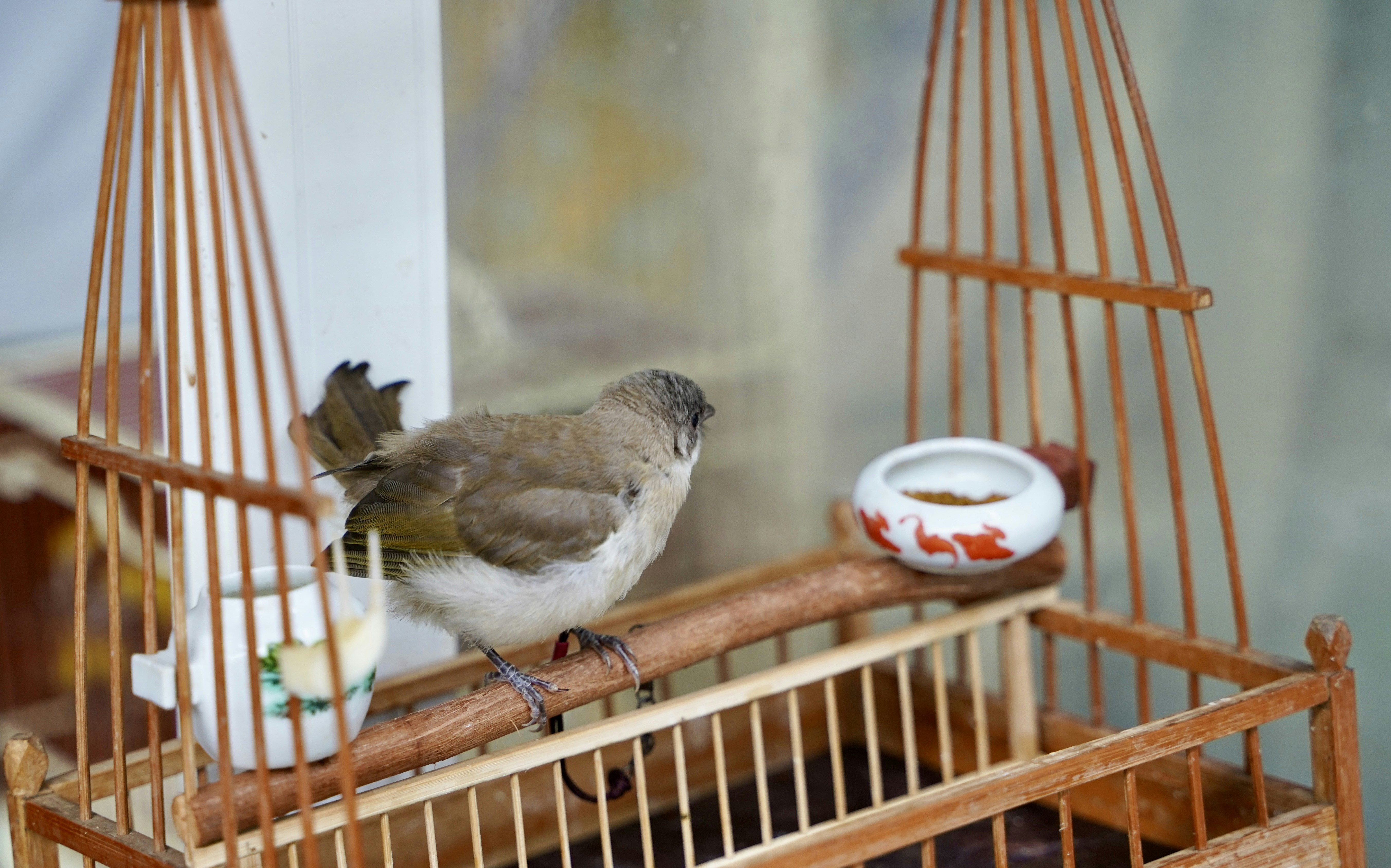 A small bird perched on a wooden bar inside a decorative birdcage, surrounded by traditional ceramic dishes. The scene reflects a blend of nature and artistry.