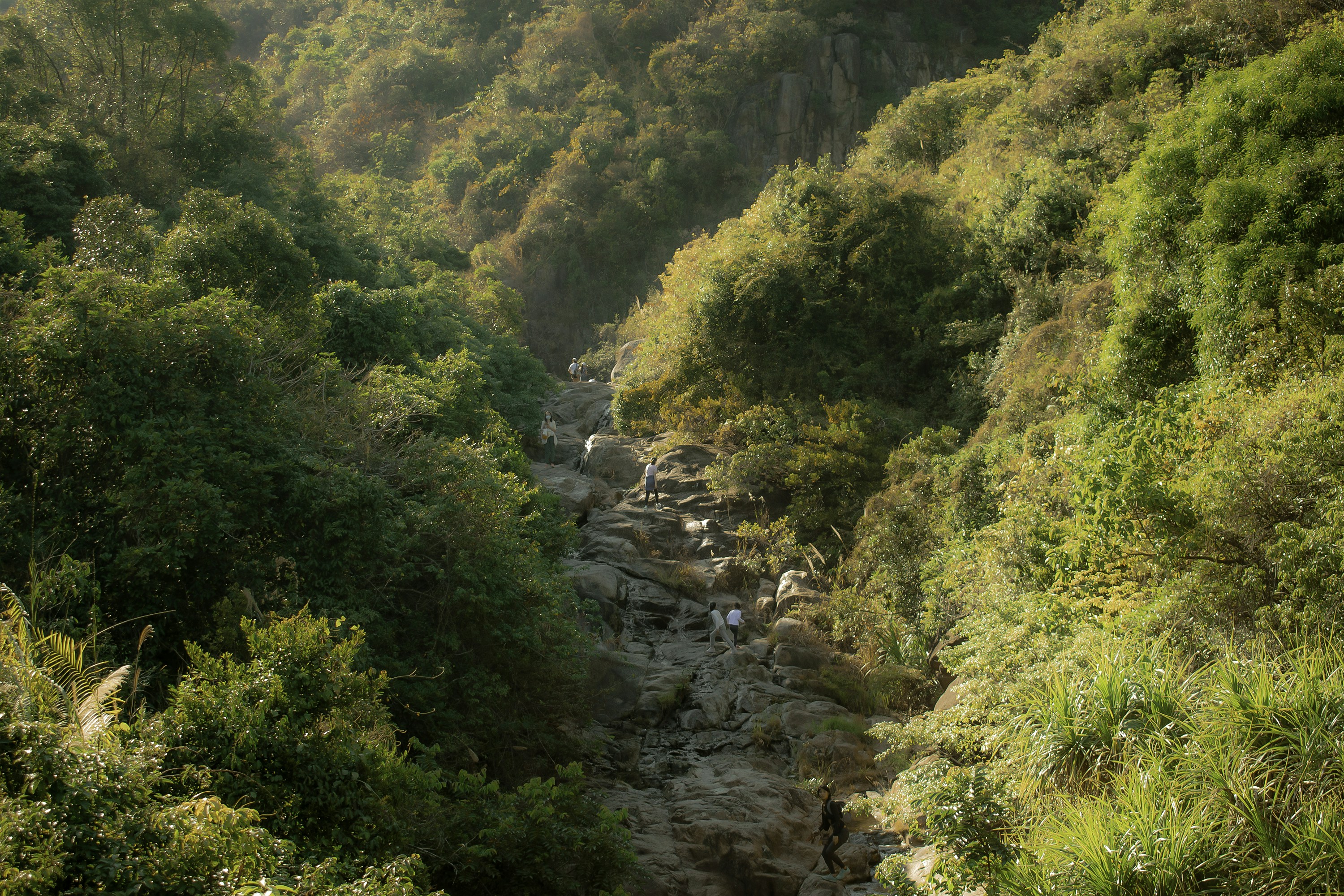 A rocky stream meanders through a lush green valley, flanked by dense foliage and sunlight filtering through the trees. Two hikers navigate the natural landscape.