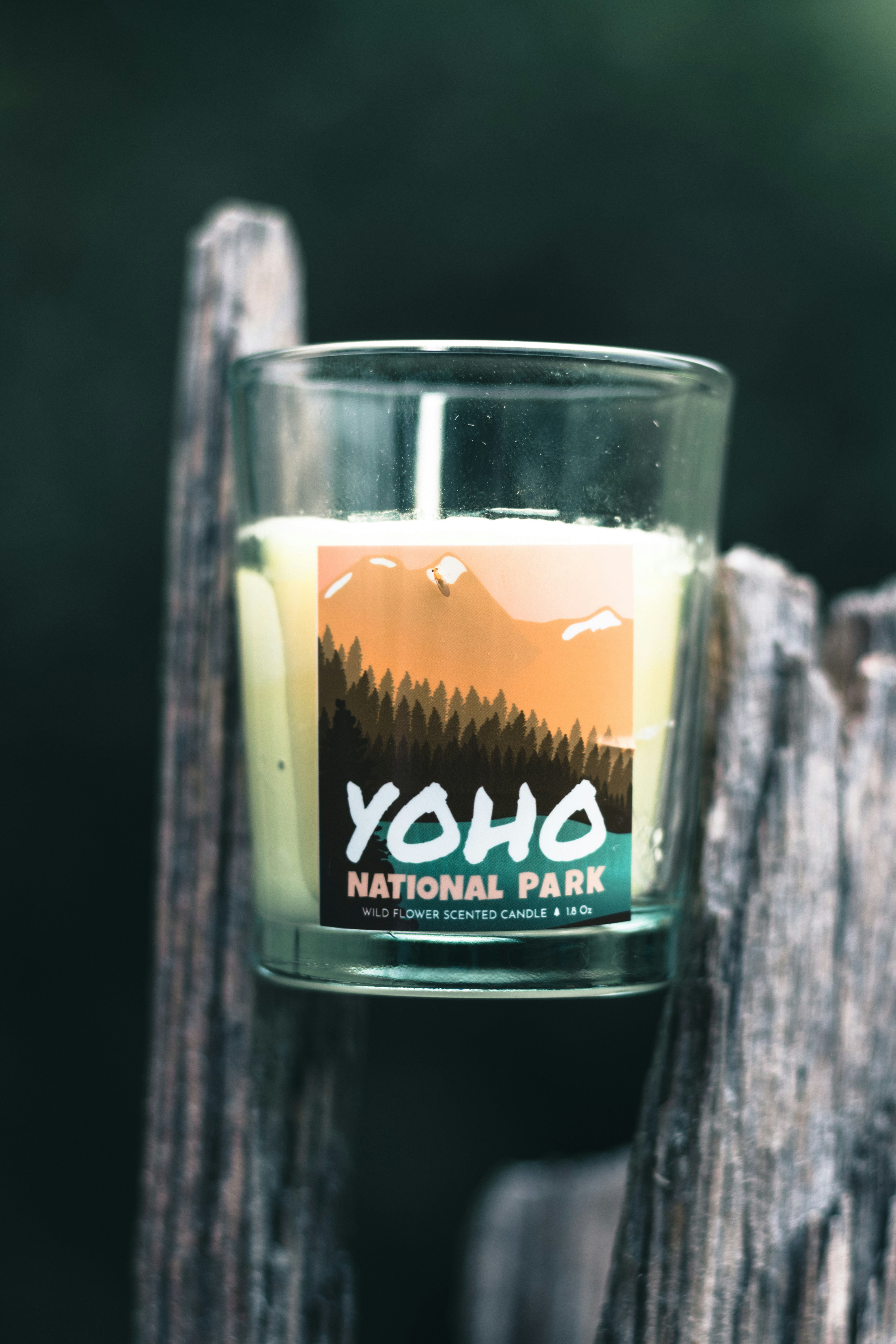 Yoho Glow: Candlelight Between Weathered Posts Accented by a National Park Label