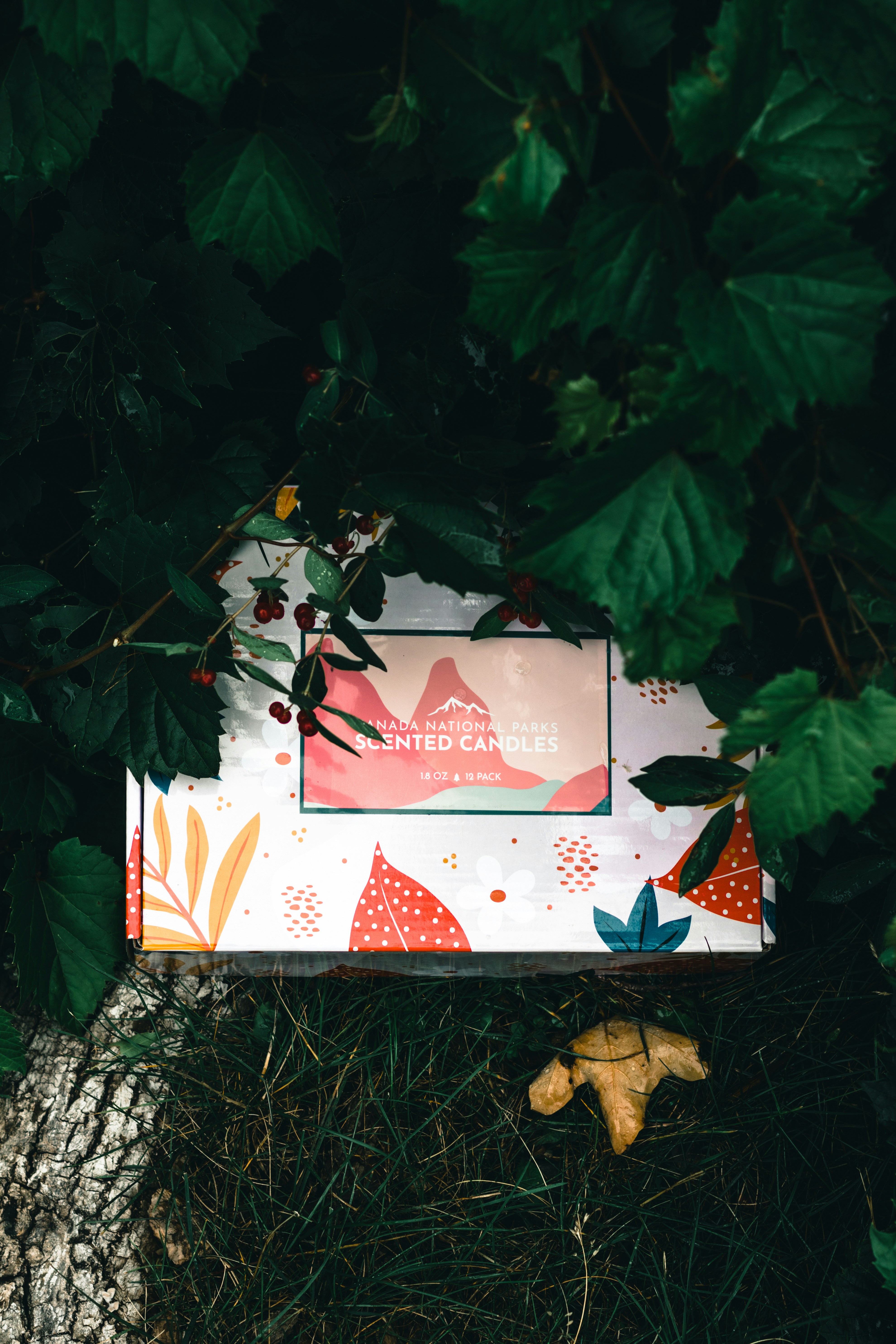 Underleaf Reveal: A Brightly Patterned Scented-Candle Box Nestled in Damp Leaves
