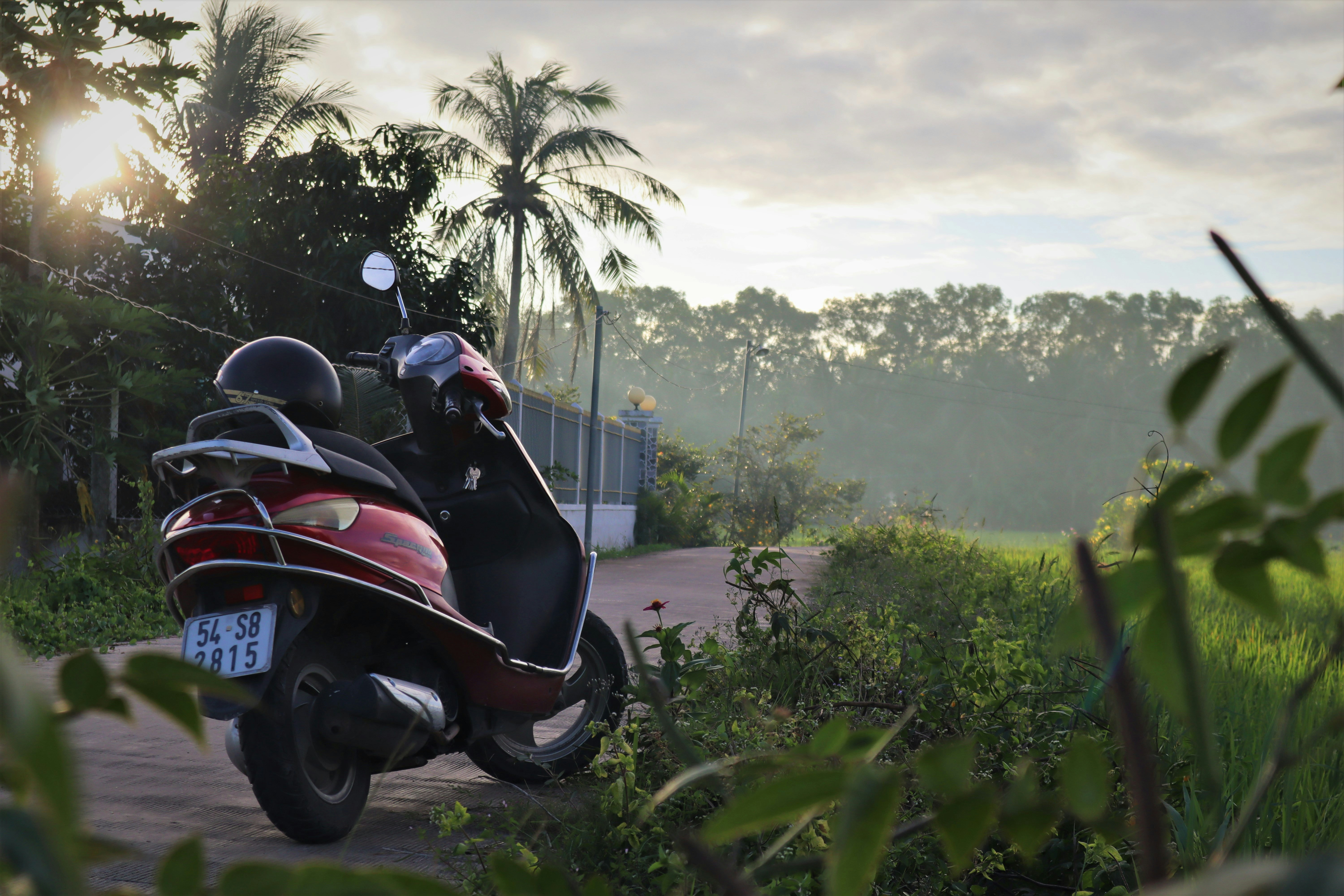 Dawn Quiet: Red Scooter Resting on a Palm-Fringed Lane