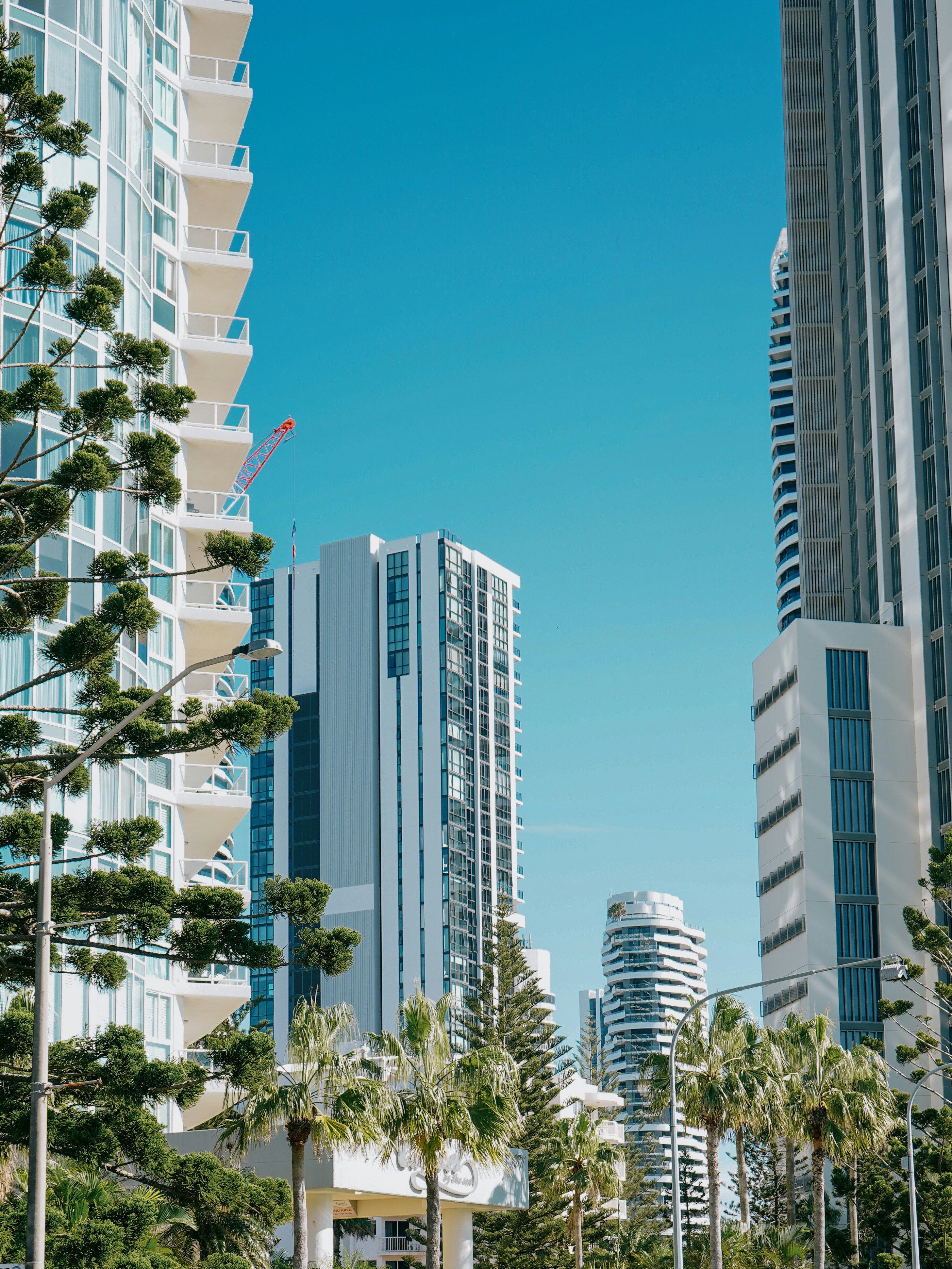 A vibrant cityscape showcasing sleek high-rise buildings alongside lush palm trees under a clear blue sky.