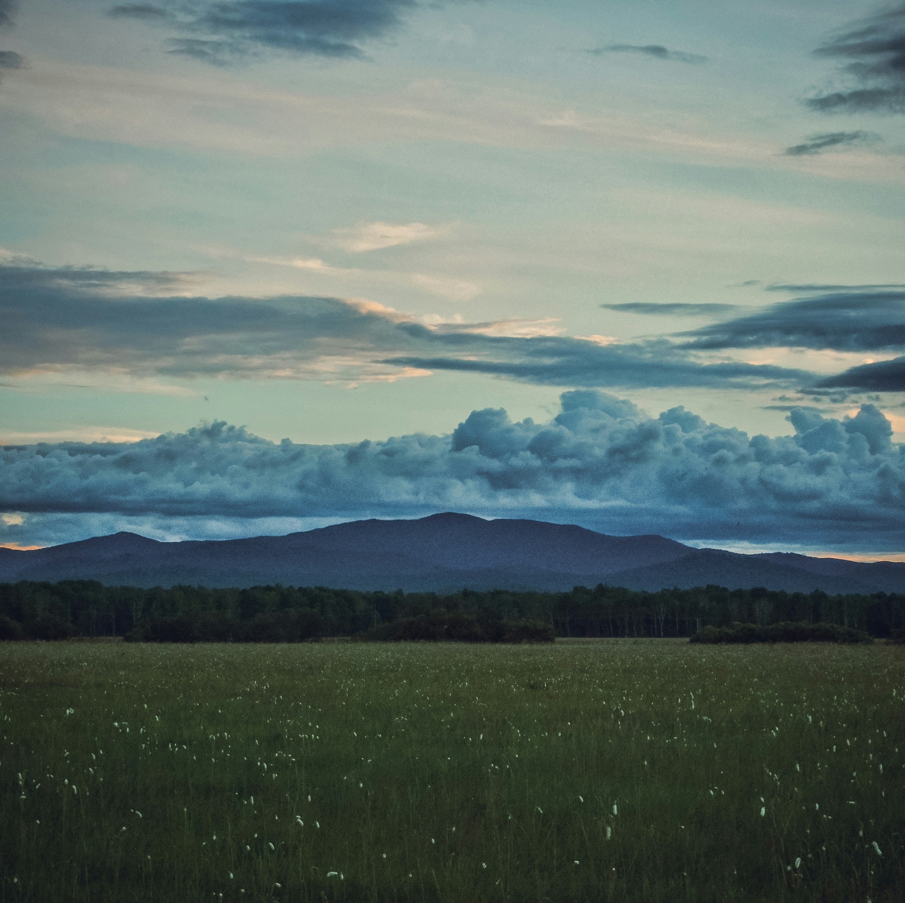Denis Khrebtov (@denissskhrebtov) | Unsplash Photo Community