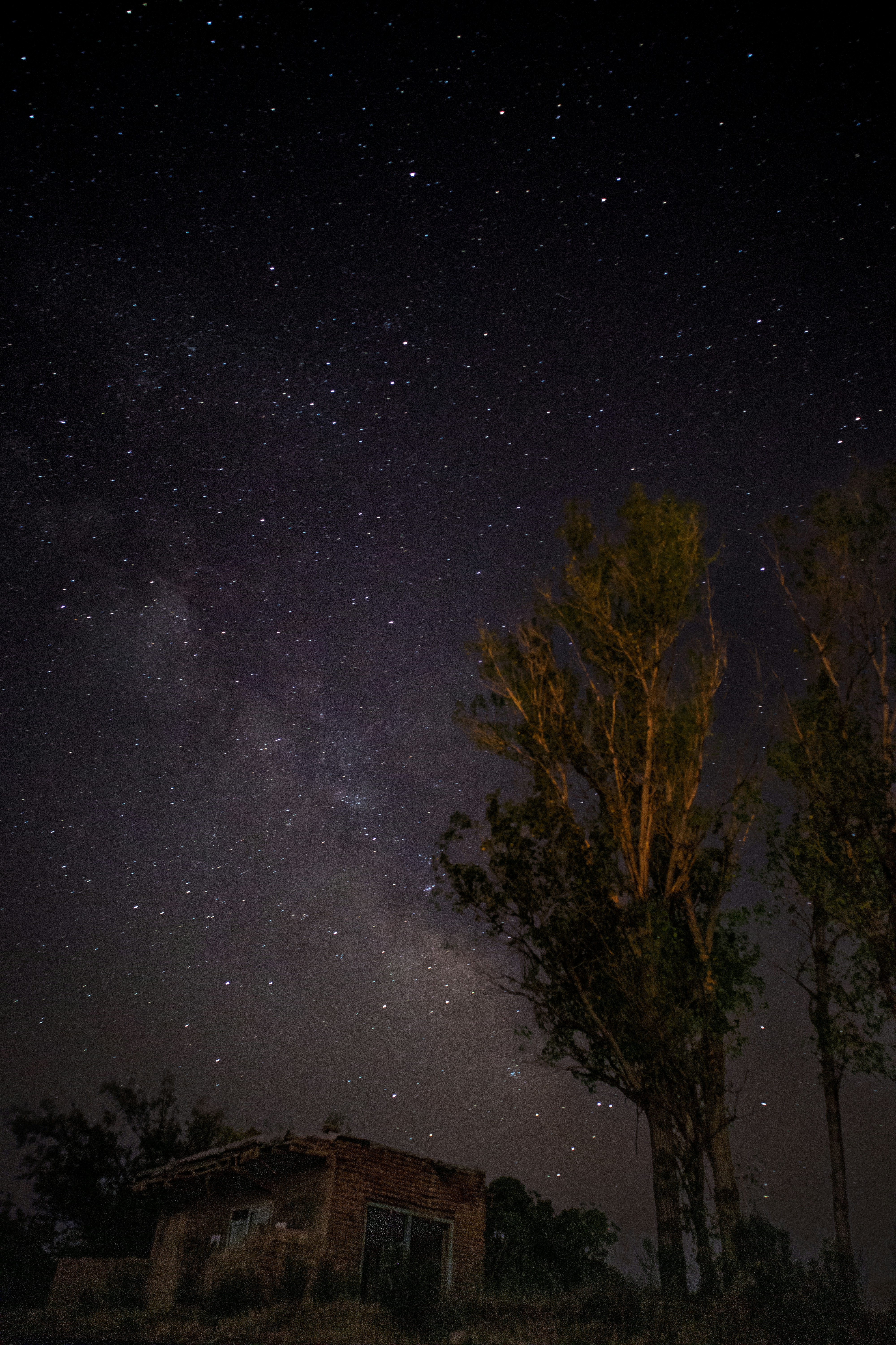 Milky Way Veil Over a Rustic Cabin and Whispering Pines
