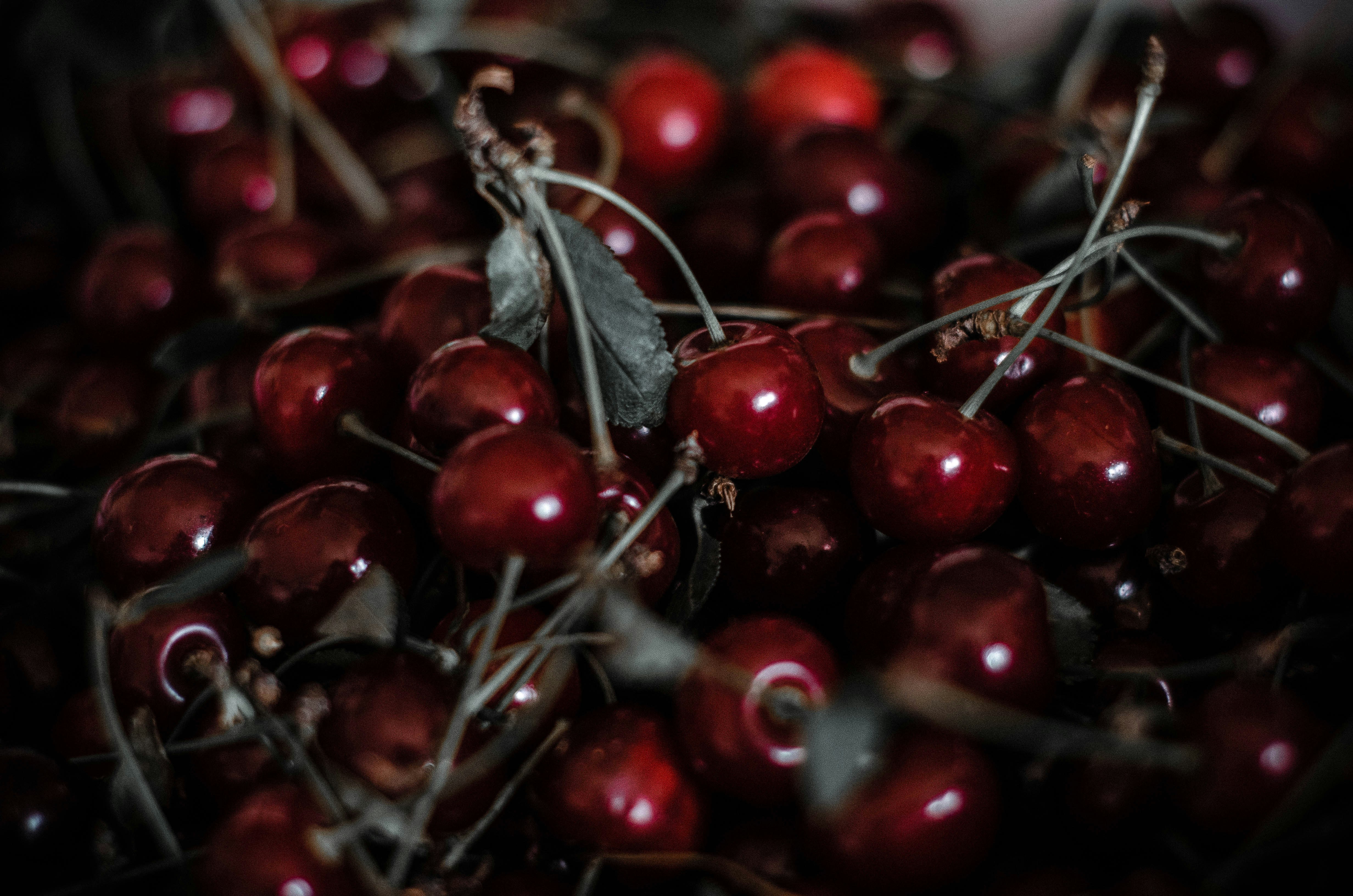 Nocturne of Velvet Cherries