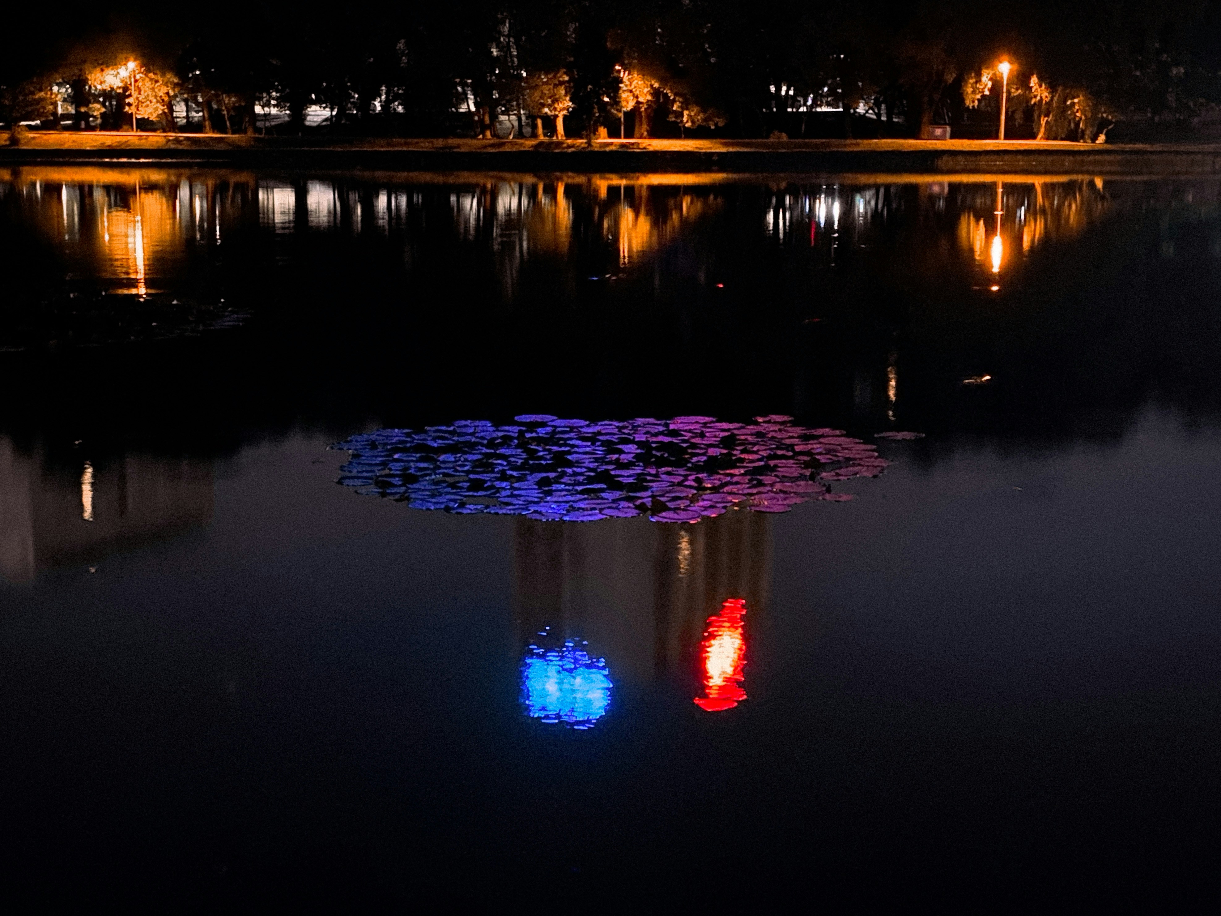 body of water during night time