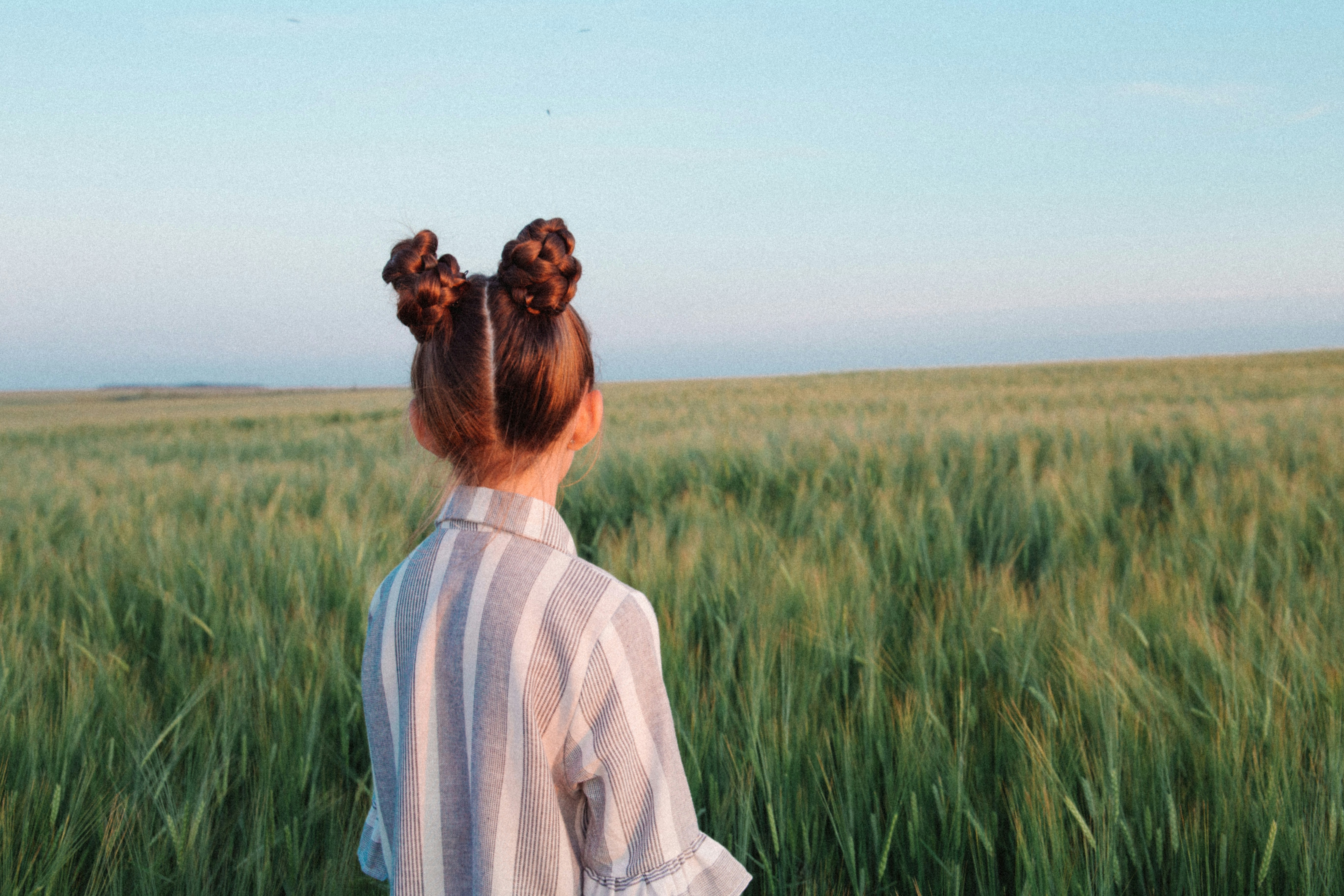 Back to the Field: Portrait of Quiet Horizon