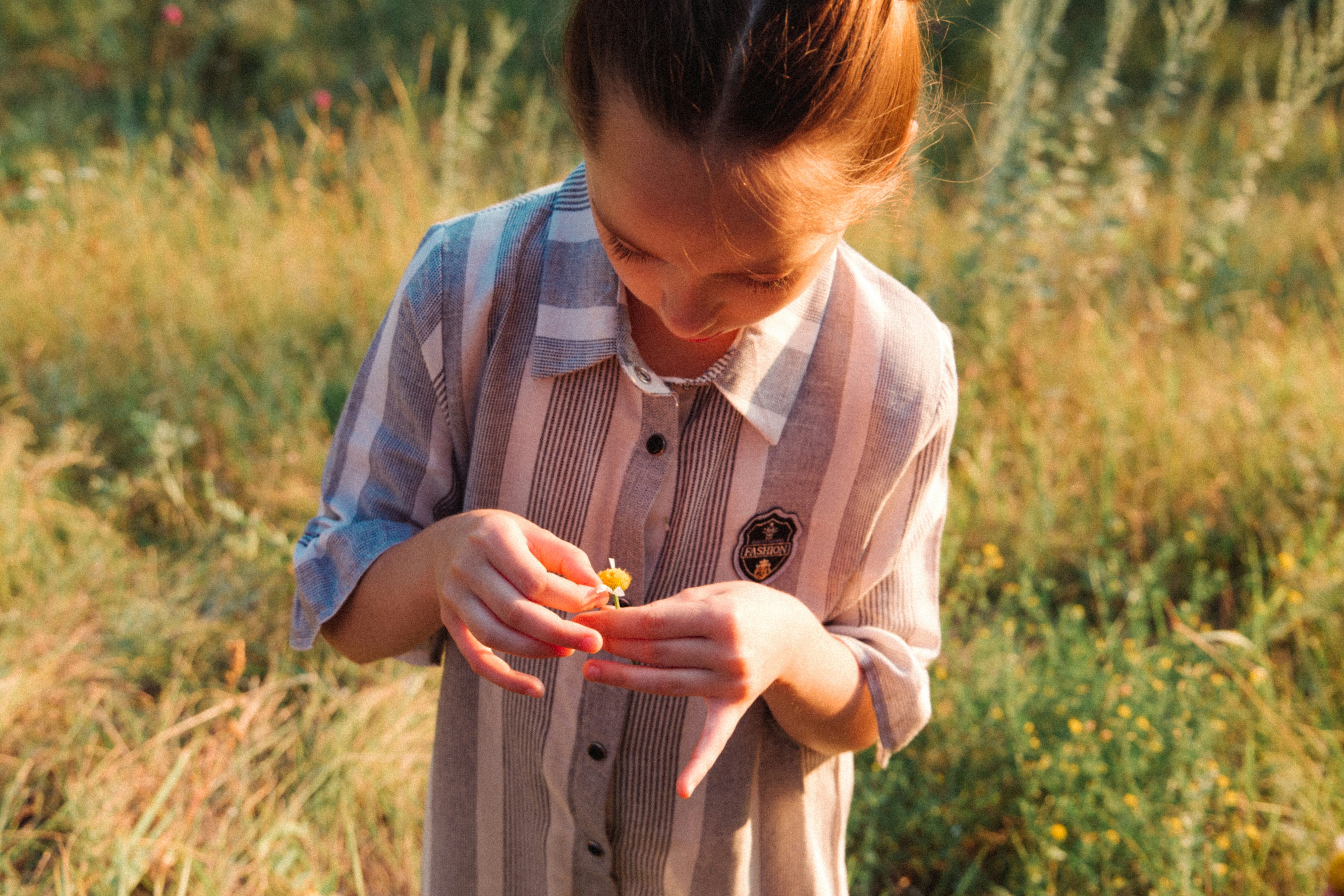 A young girl examines a delicate flower while surrounded by tall grass in a sunlit field.