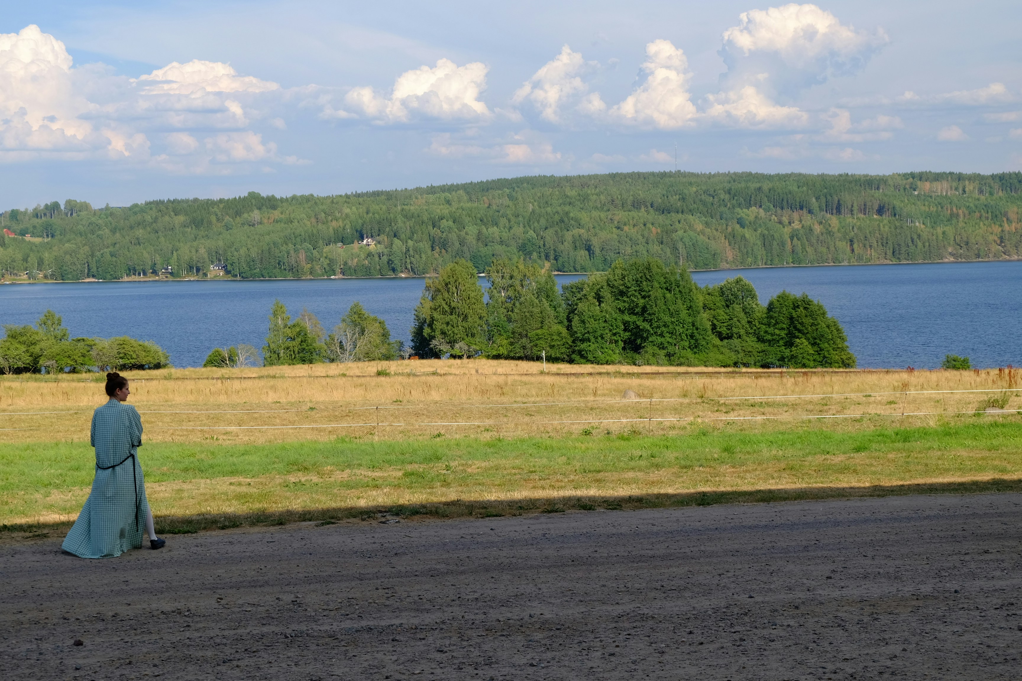 Solitary Stroll by the Lakeside Horizon