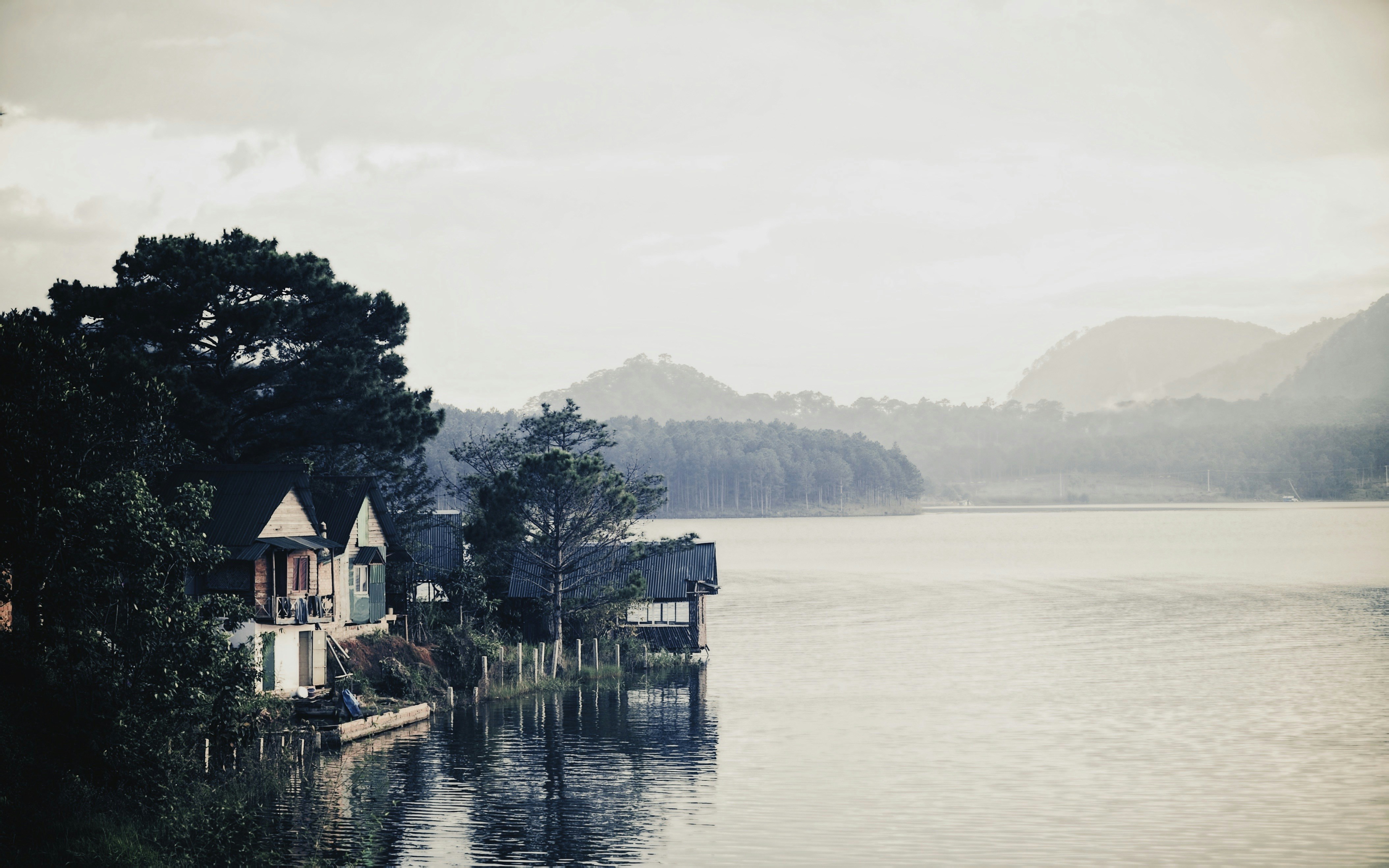 Serene lakeside scene with an abandoned house surrounded by trees, overlooking calm waters and distant hills under a soft sky.