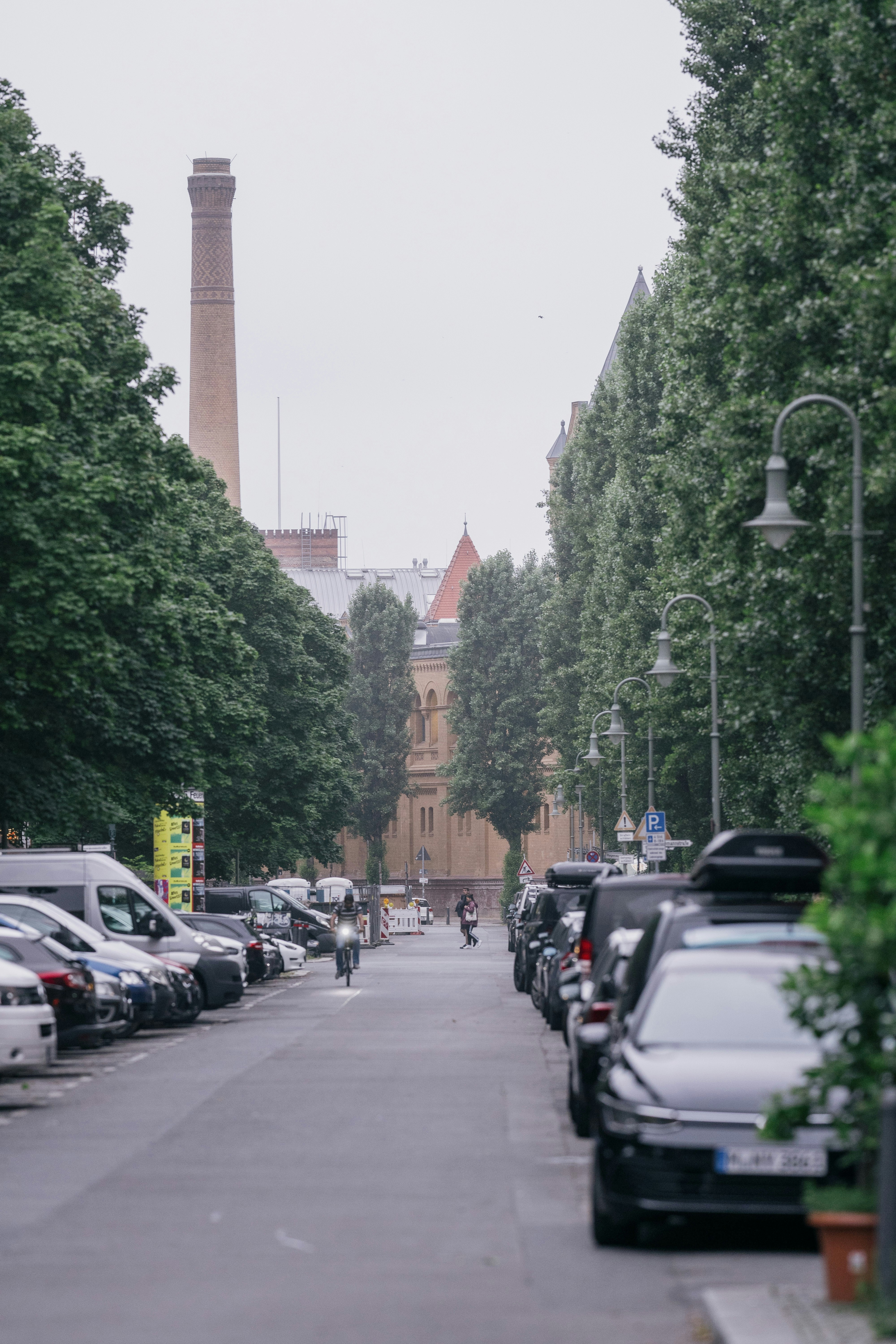 A cyclist rides down a tree-lined street flanked by parked cars, leading to a historic building in the background. The scene conveys a sense of calm in an urban environment.