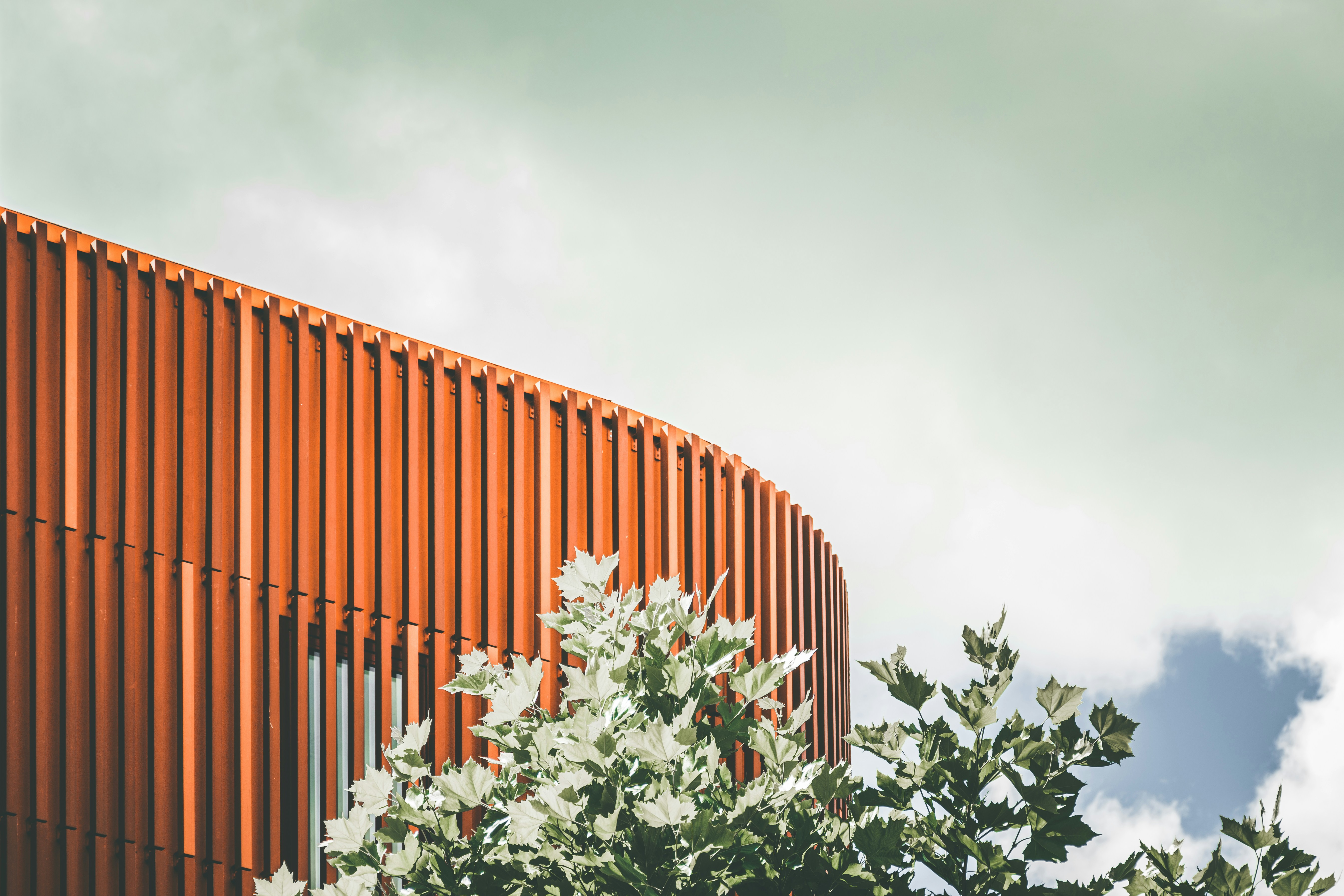 Curved Harmony: Architectural Elegance Meets Nature