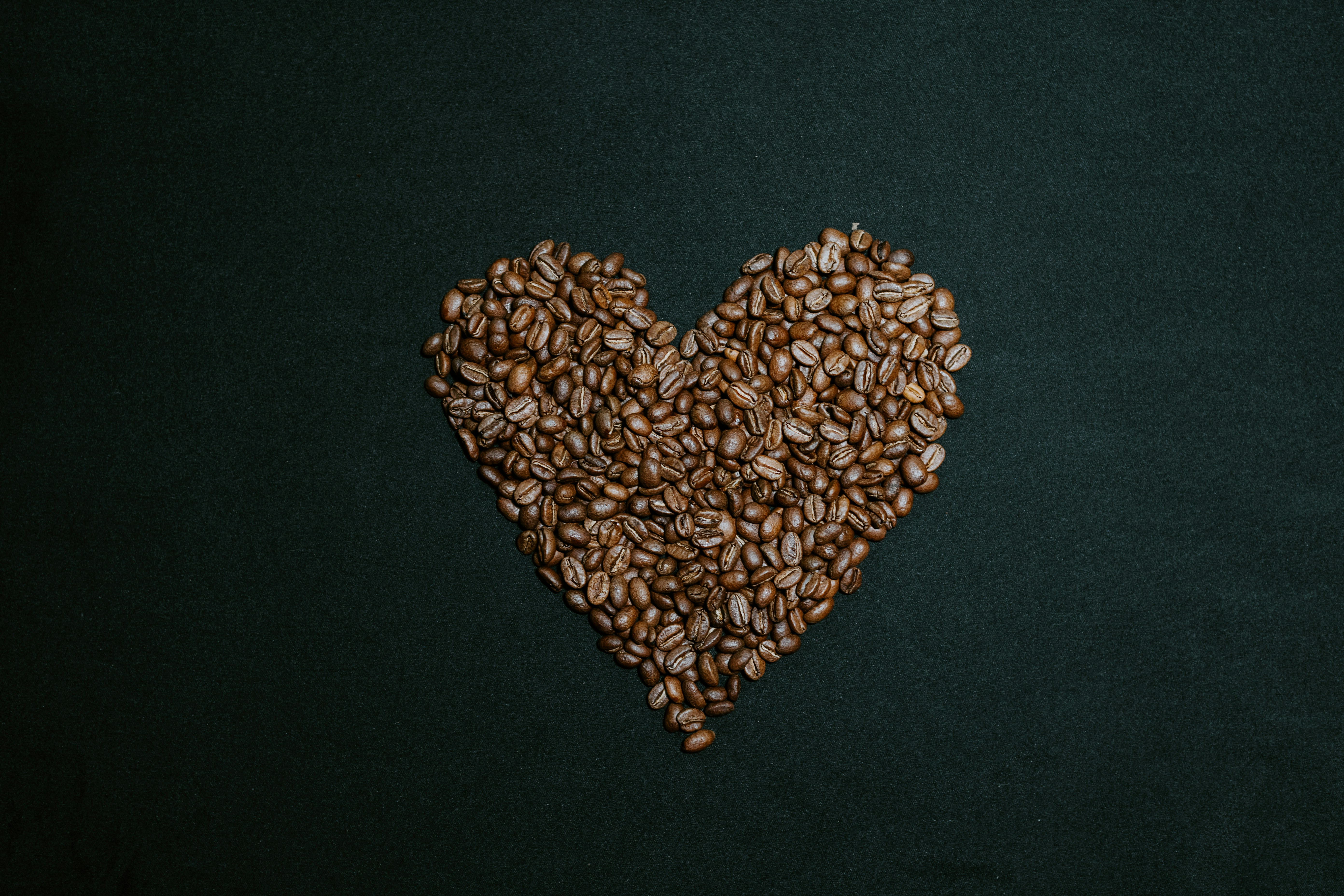 Photo by Kelly Sikkema with Nikon D500