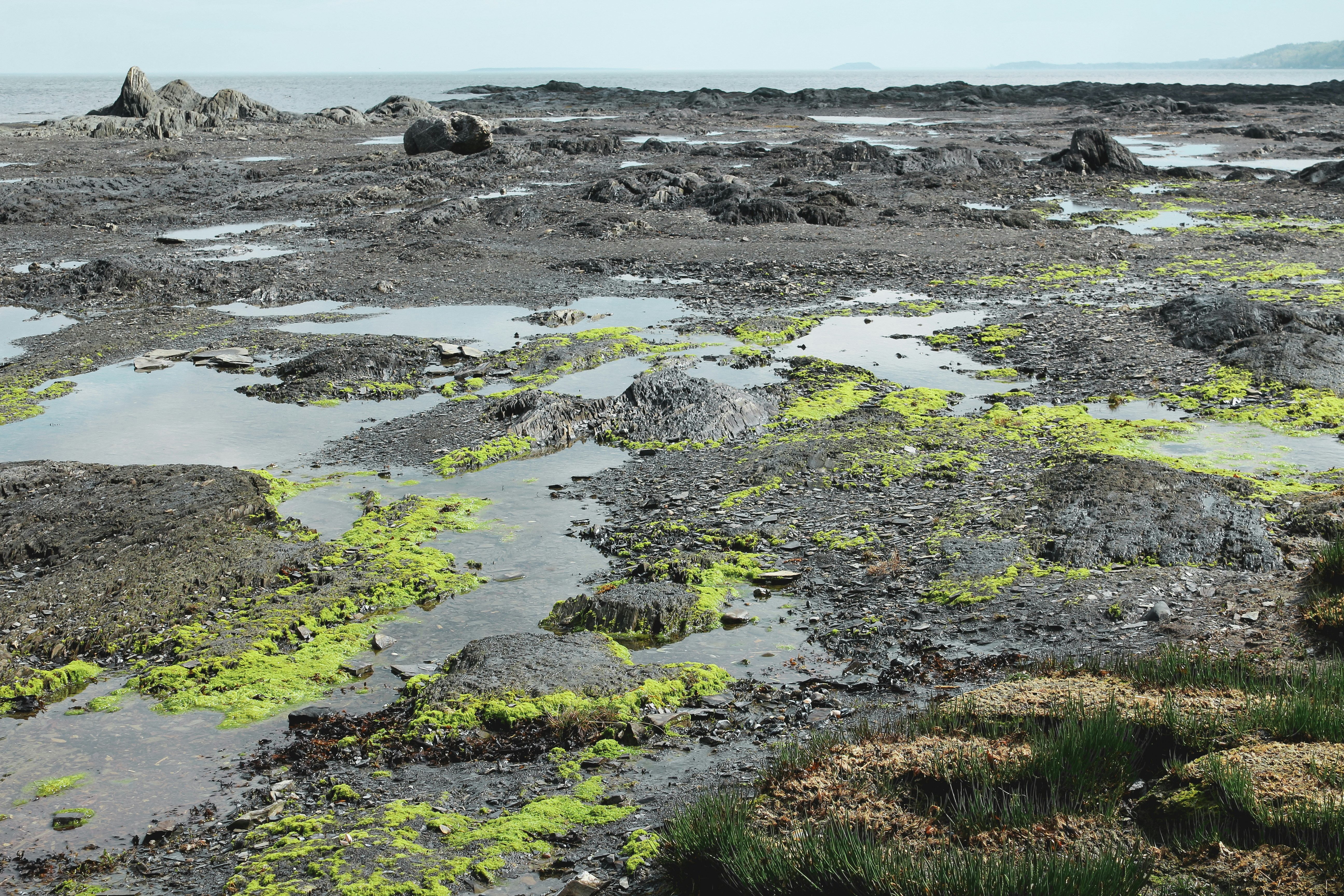 Rock Ground Pictures | Download Free Images on Unsplash