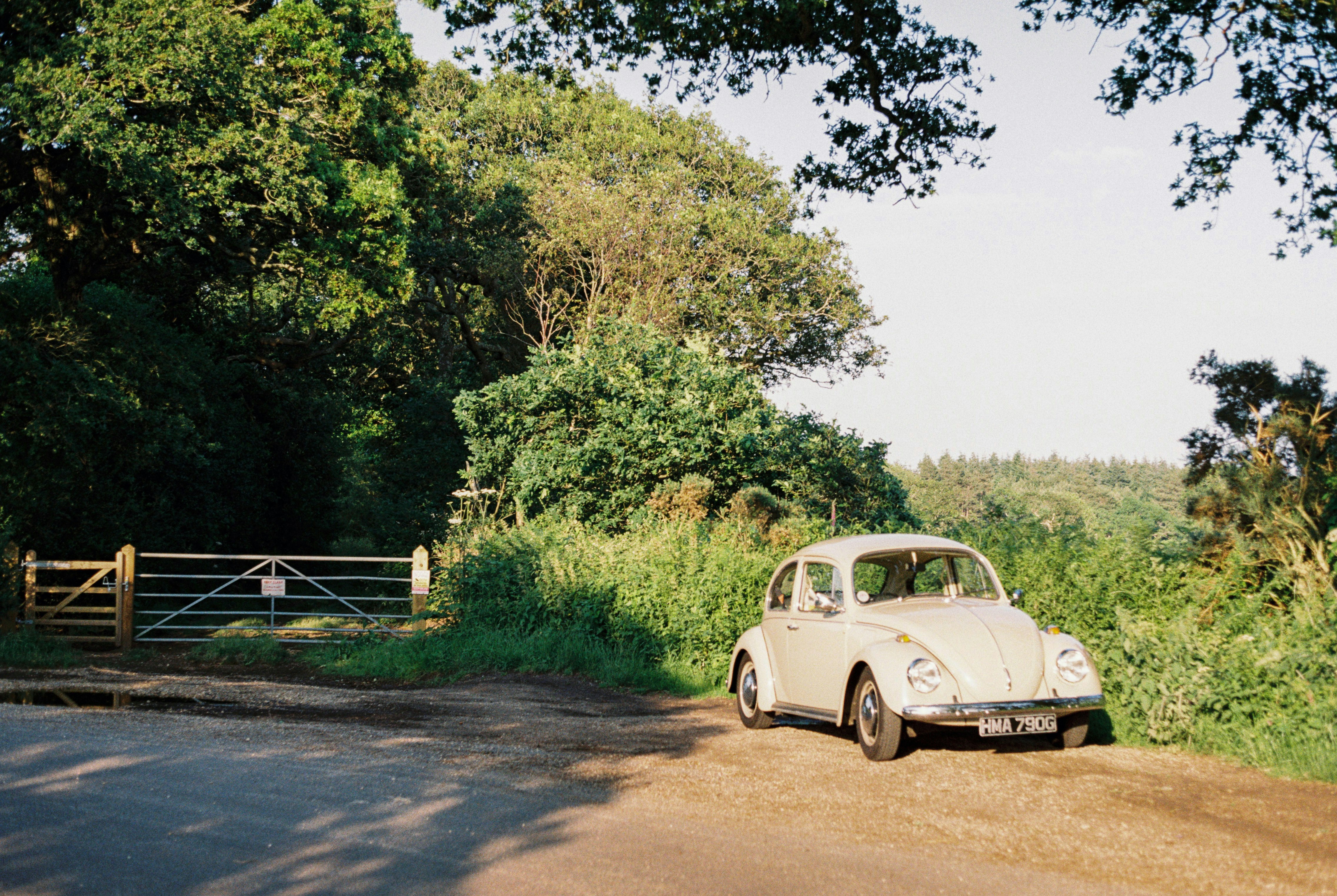 Classic white Volkswagen Beetle parked beside a rustic gate, surrounded by lush greenery and a tranquil countryside setting.