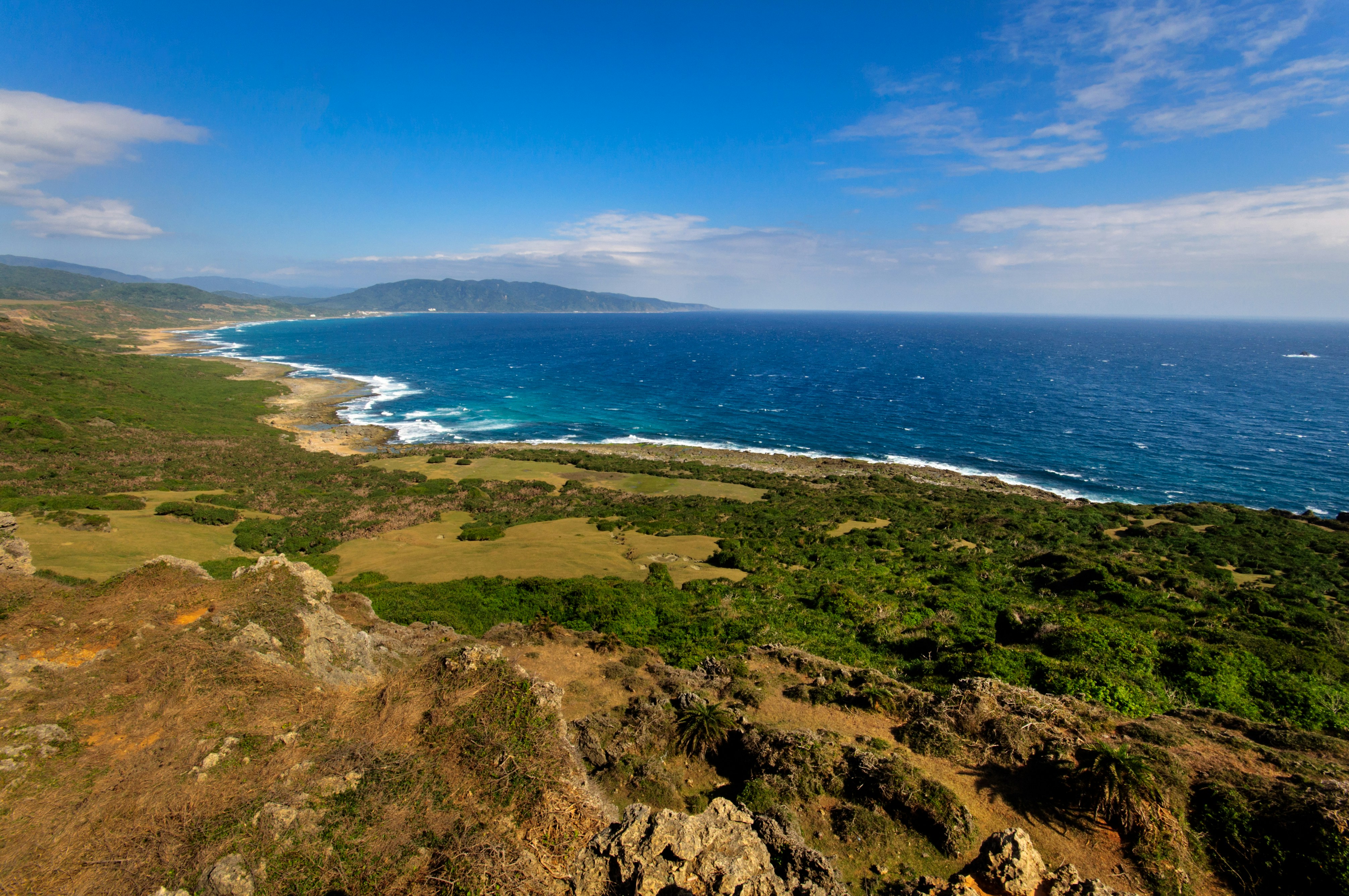 Visually Stimulating Zoom Background